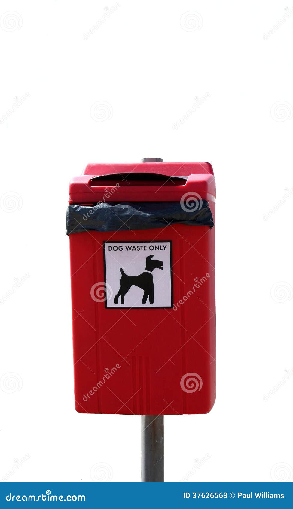 Dog waste bin stock photo. Image of refuse, post, garbage - 37626568