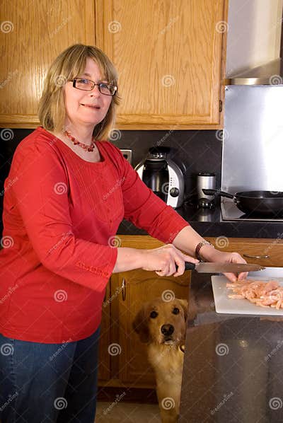Dog watching chicken. stock image. Image of mature, cook - 4244661