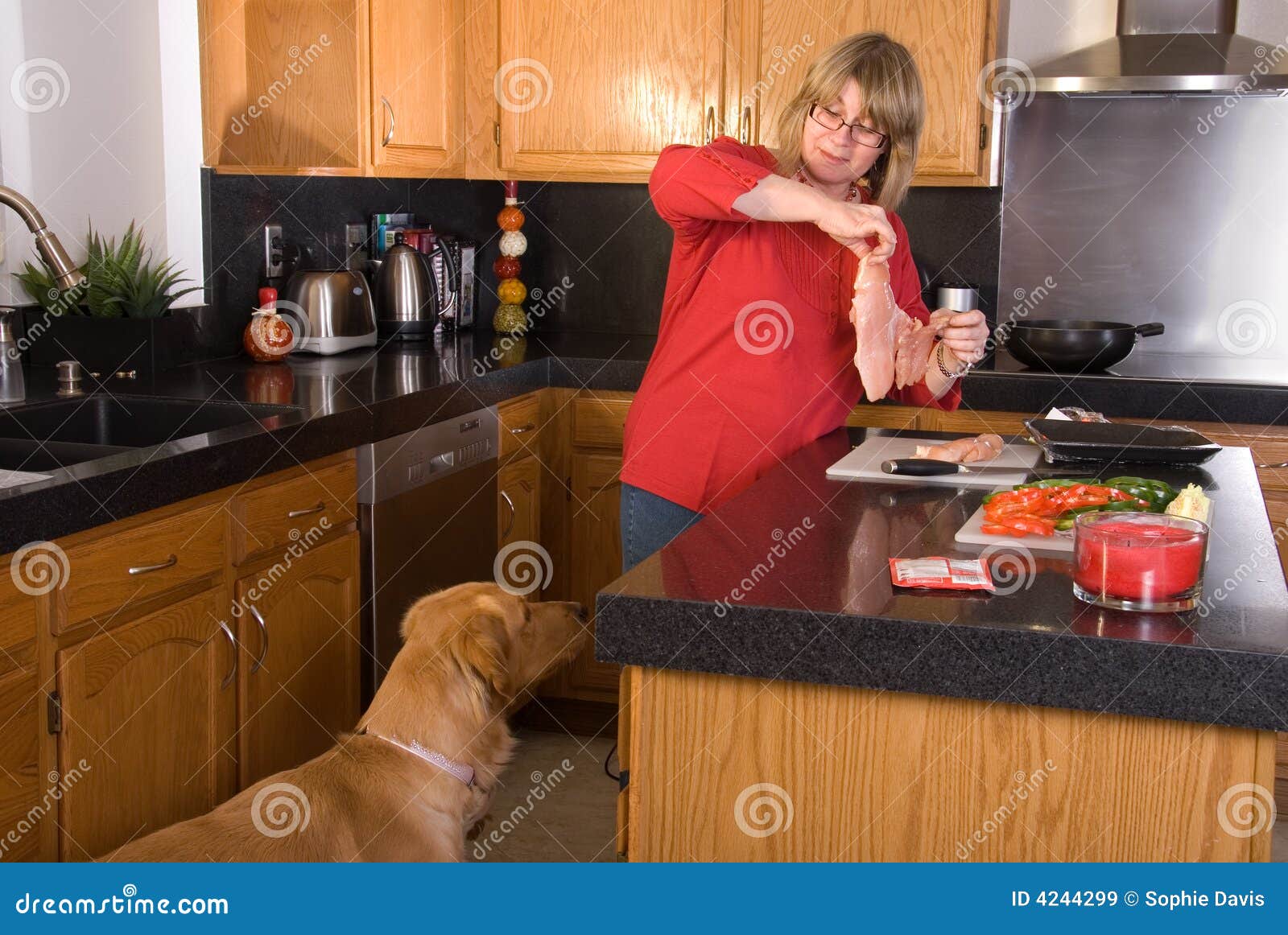 Dog watching owner cook. stock image. Image of longing - 4244299