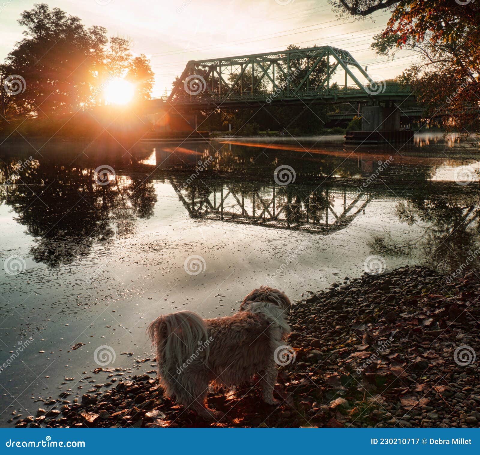 Watching Sunrise At Coogee Beach Australia Stock Image | CartoonDealer ...