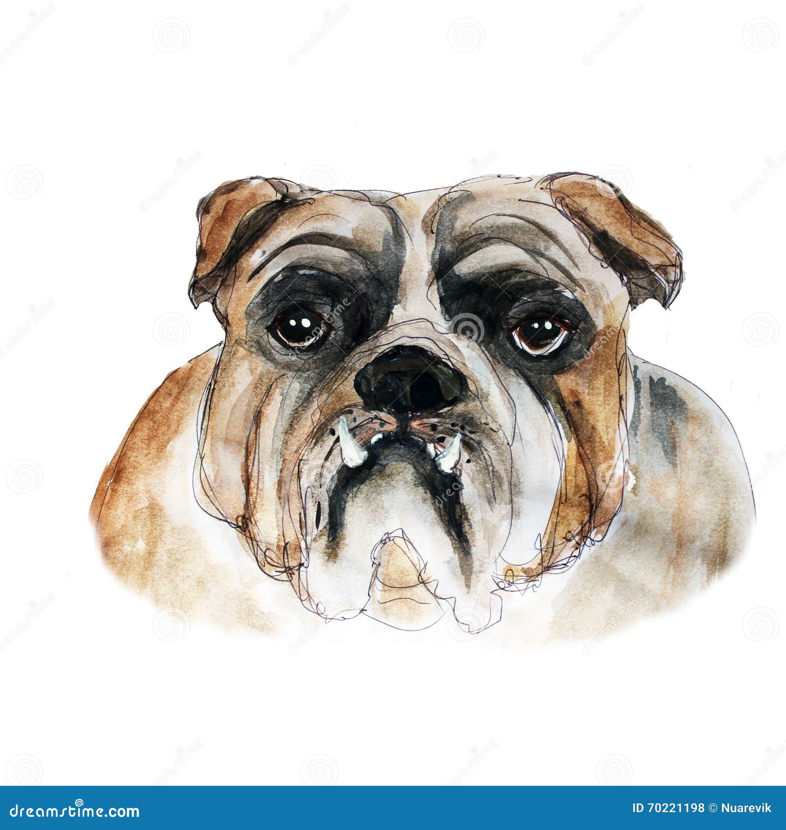 Dog Watercolor and Ink Head Illustration Stock Illustration ...