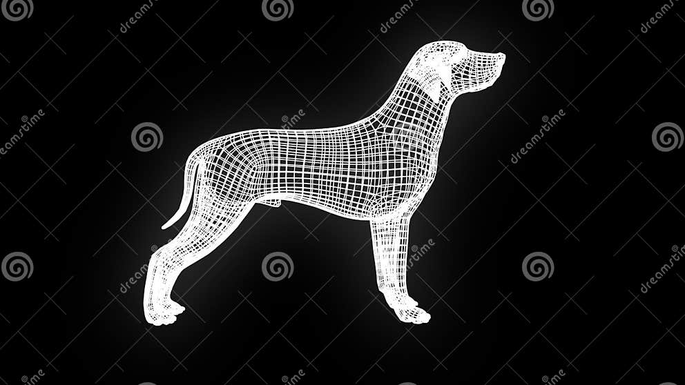 Dog wireframe stock illustration. Illustration of sketch - 263280538