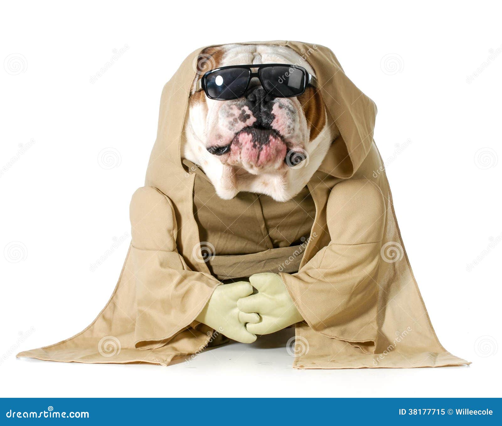 992 Dog Wisdom Stock Photos - Free & Royalty-Free Stock Photos from ...