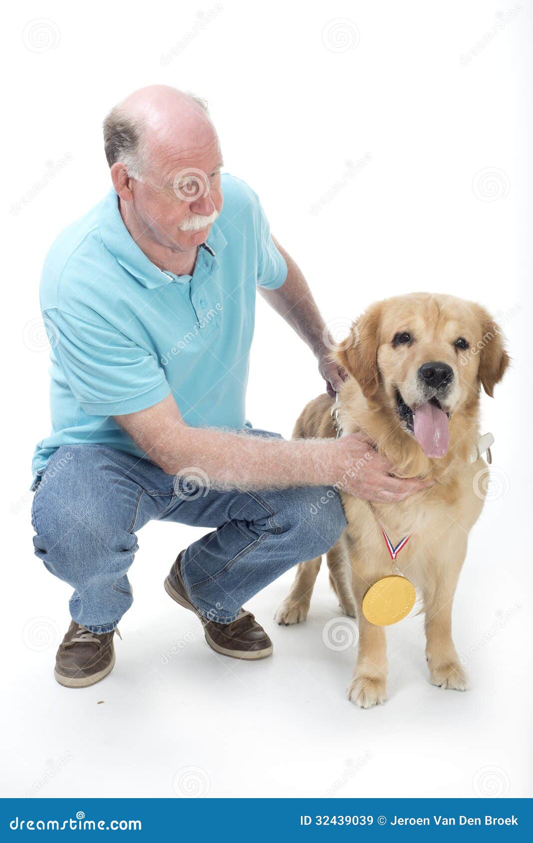 Dog won a golden medal stock image. Image of animal, studio - 32439039