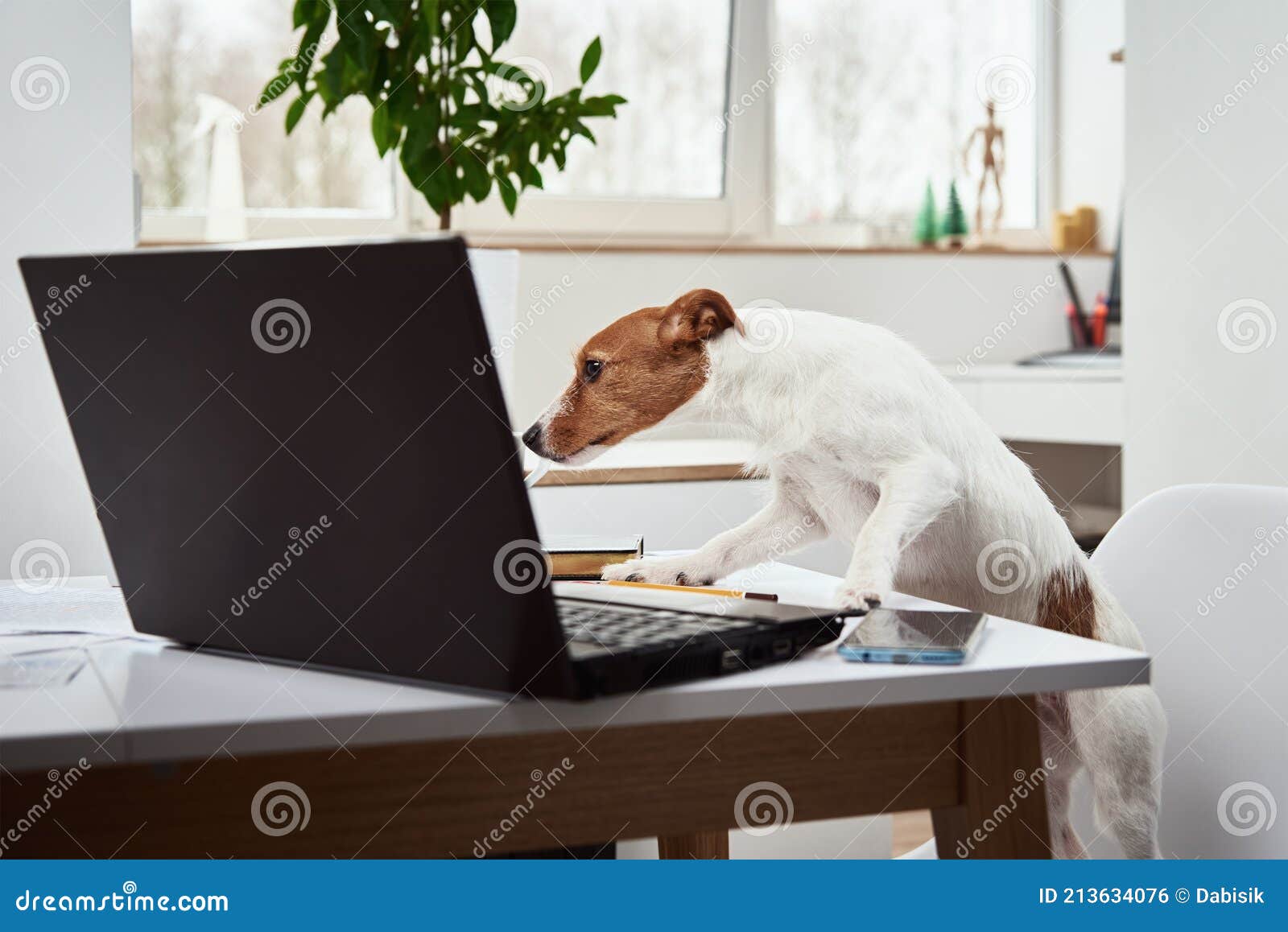 Dog Work on Laptop at Home Office. Remote Work Concept Stock Photo ...