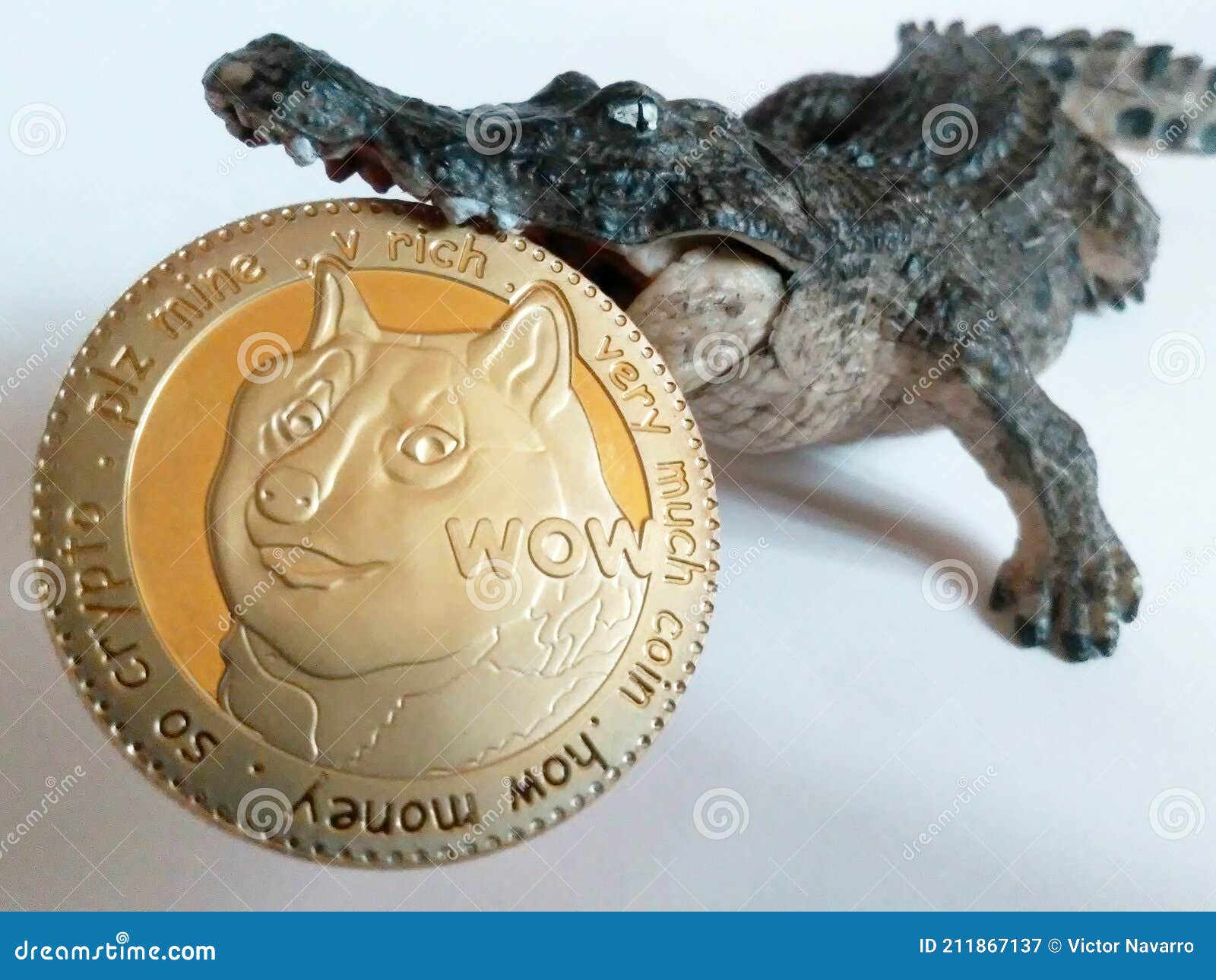 Dogecoin nibble editorial photography. Image of dominates - 211867137