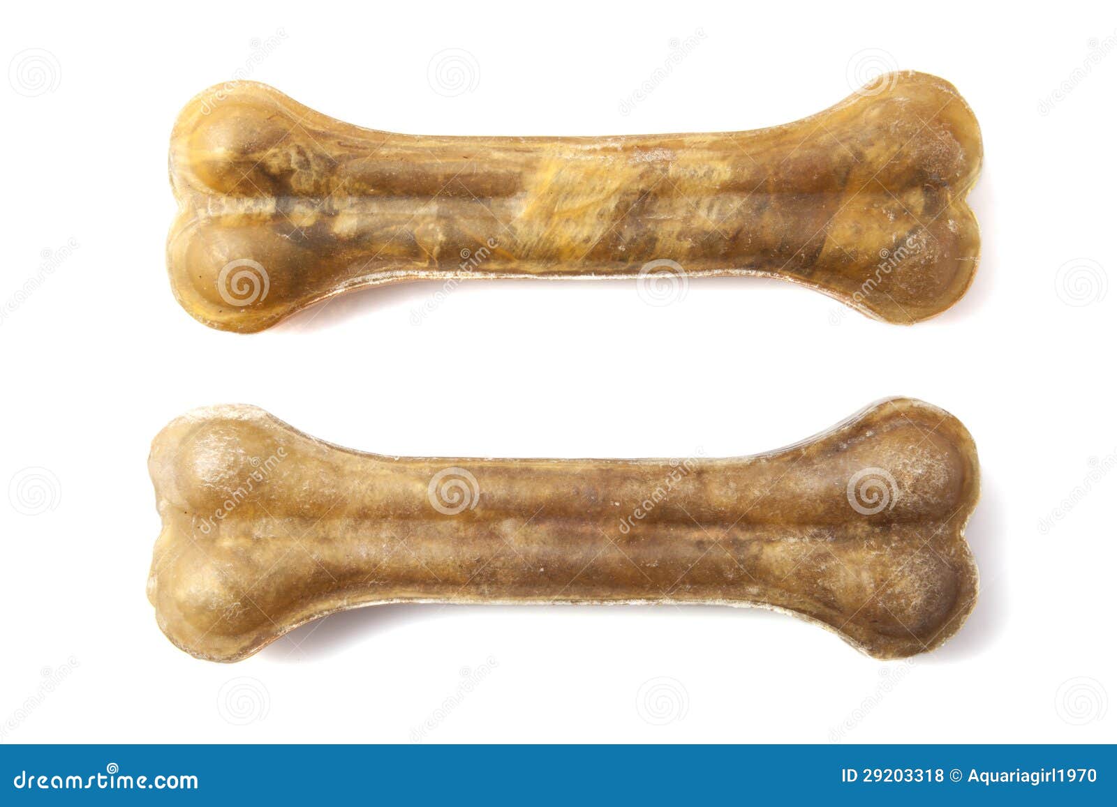 Doggy bone stock photo. Image of macro, mean, feed, pattern - 29203318