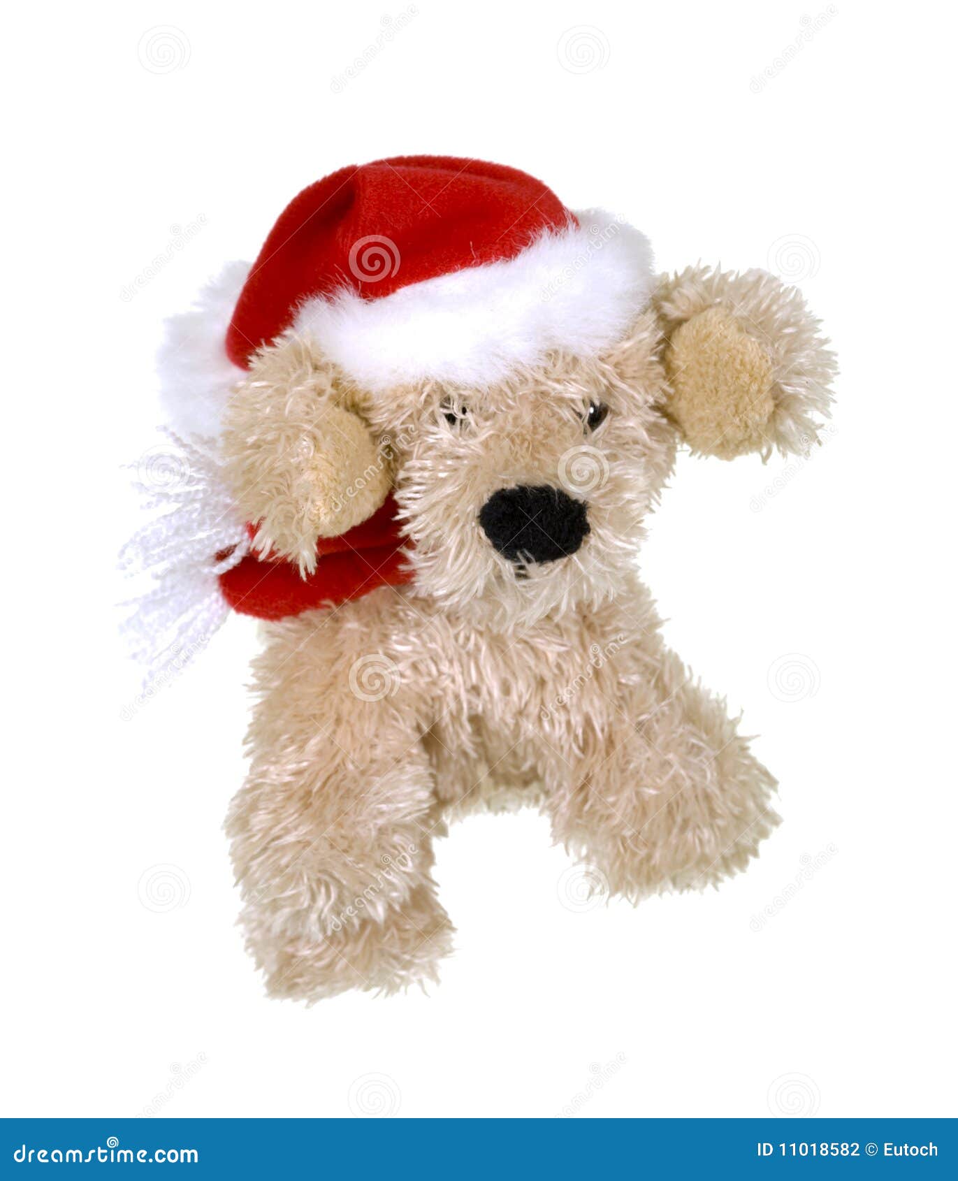 Doggy Santa Clause stock photo. Image of traditional - 11018582