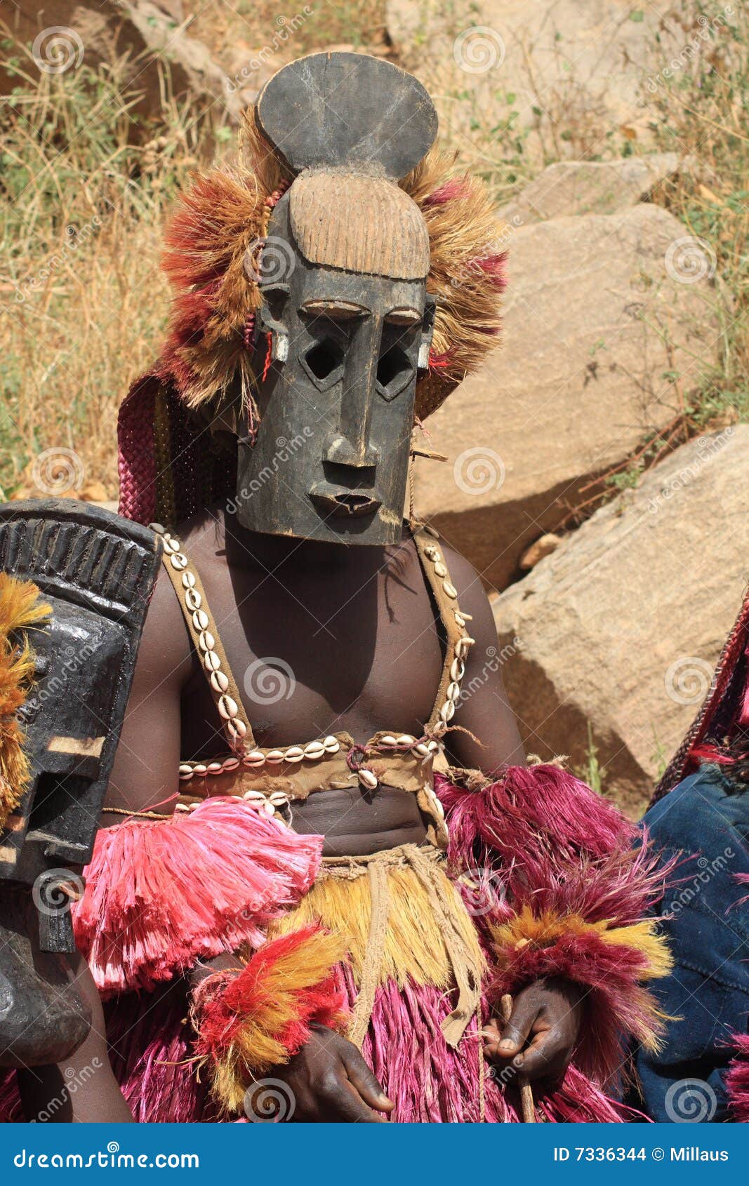 Ancient Dogon Village, Mali (Africa). Stock Photography | CartoonDealer ...