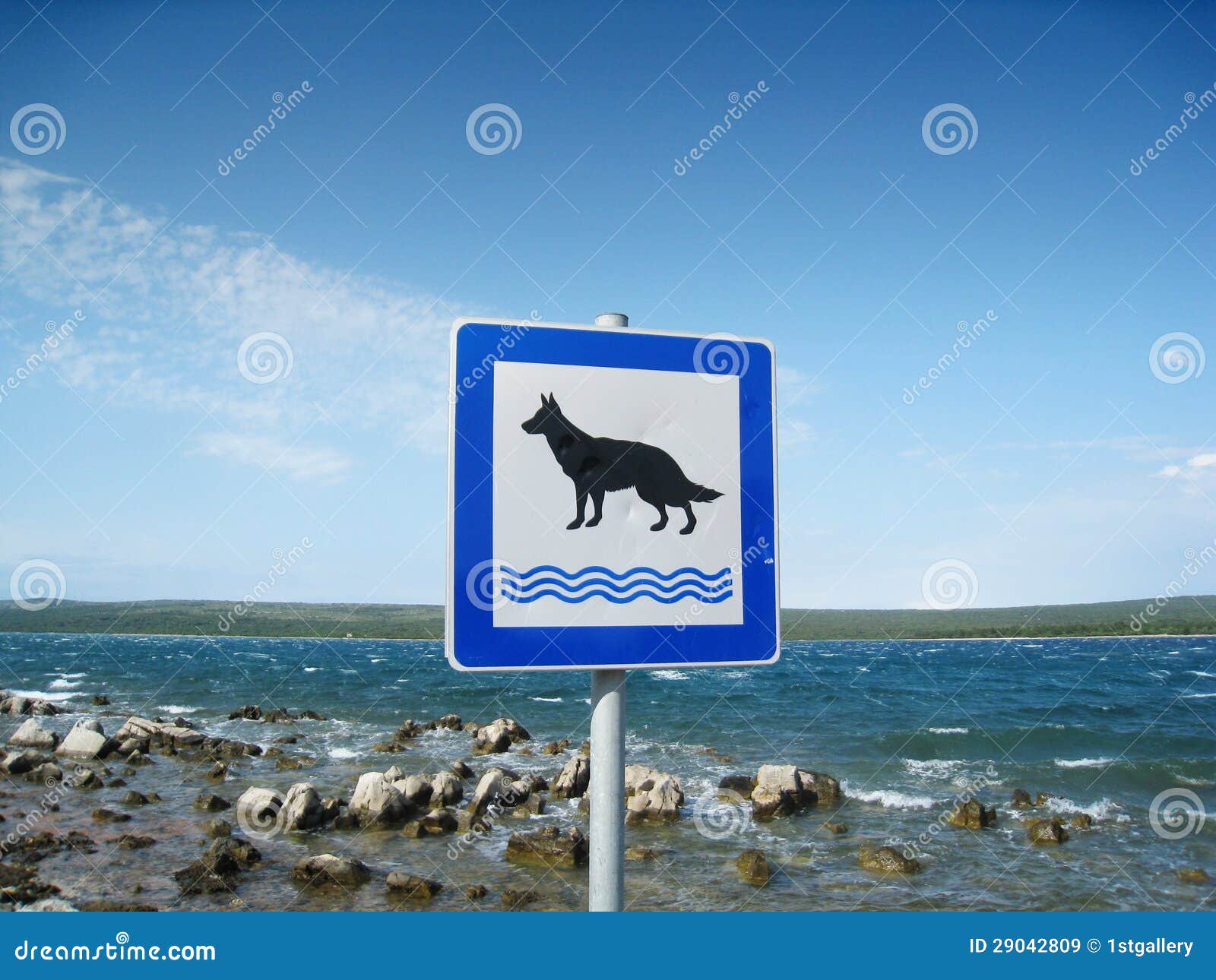 Dog Beach Sign