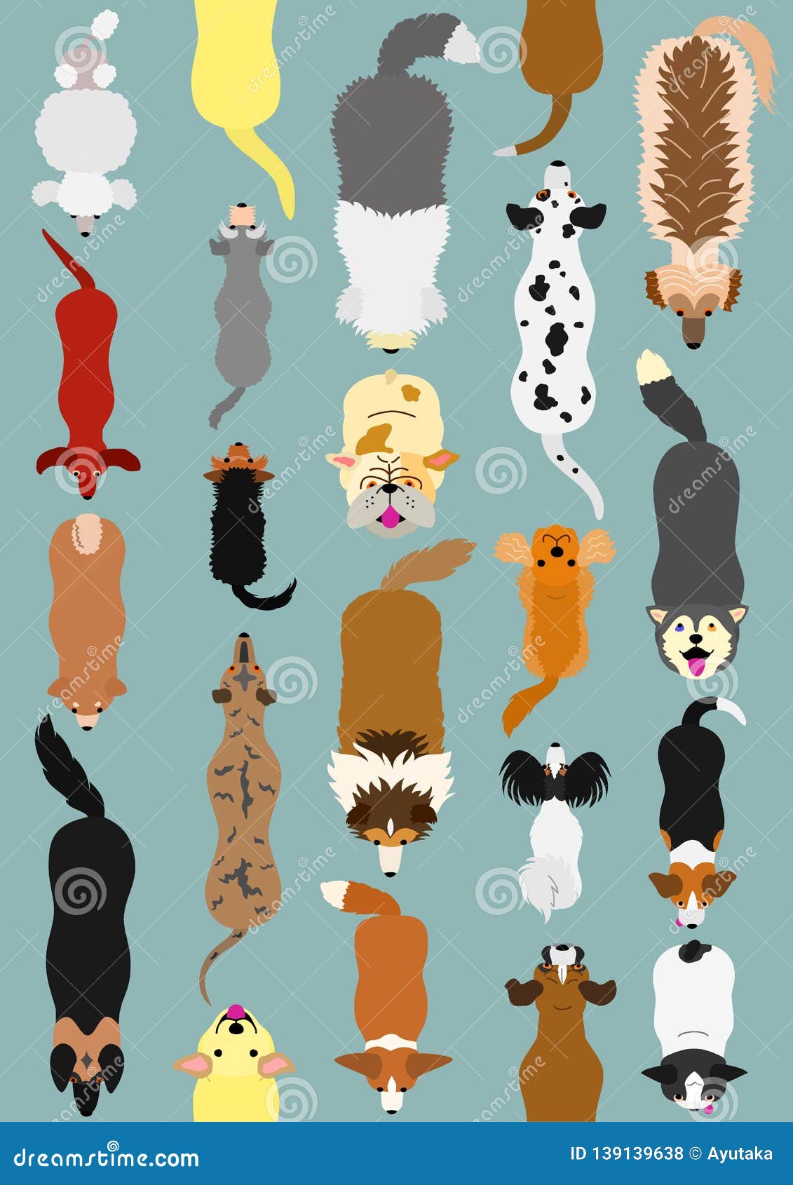 Dogs Breed Top View Seamless Background Stock Vector - Illustration of ...