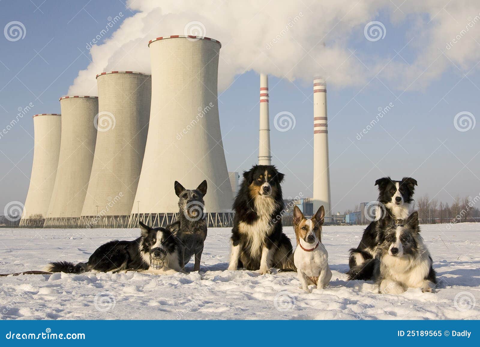 Dogs from chimneys stock image. Image of building, dogs - 25189565