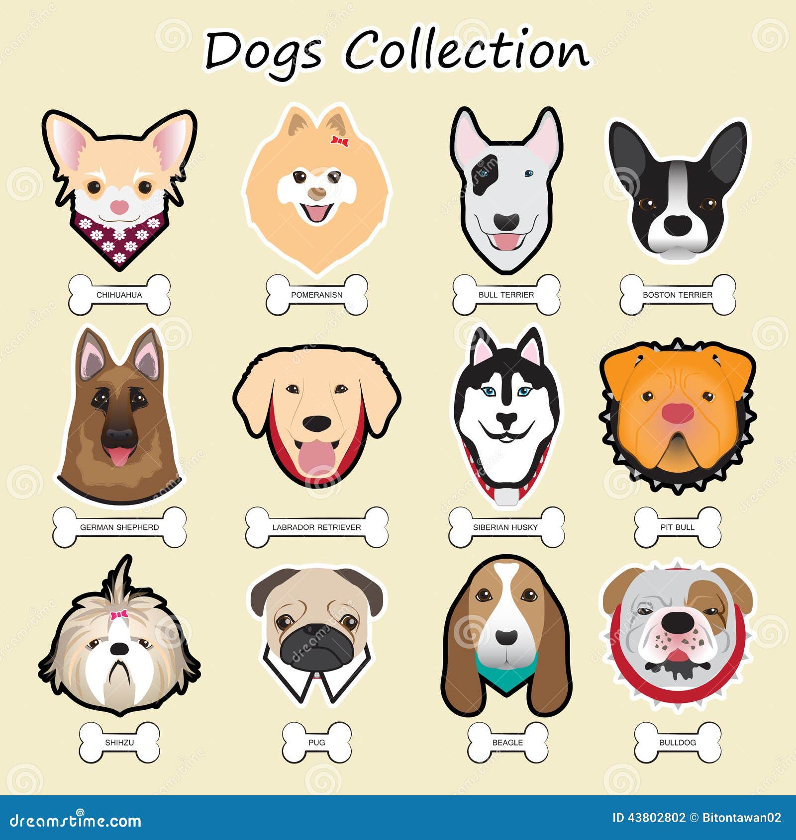 Dogs collection, vector stock vector. Illustration of collection - 43802802