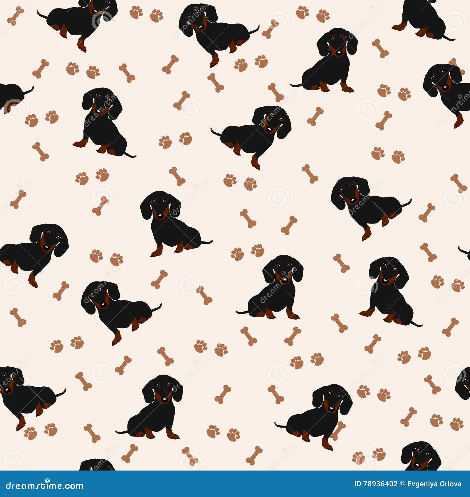 Dogs Dachshund Vector Seamless Pattern. Dog Dachshund, Bone, Paw Print ...