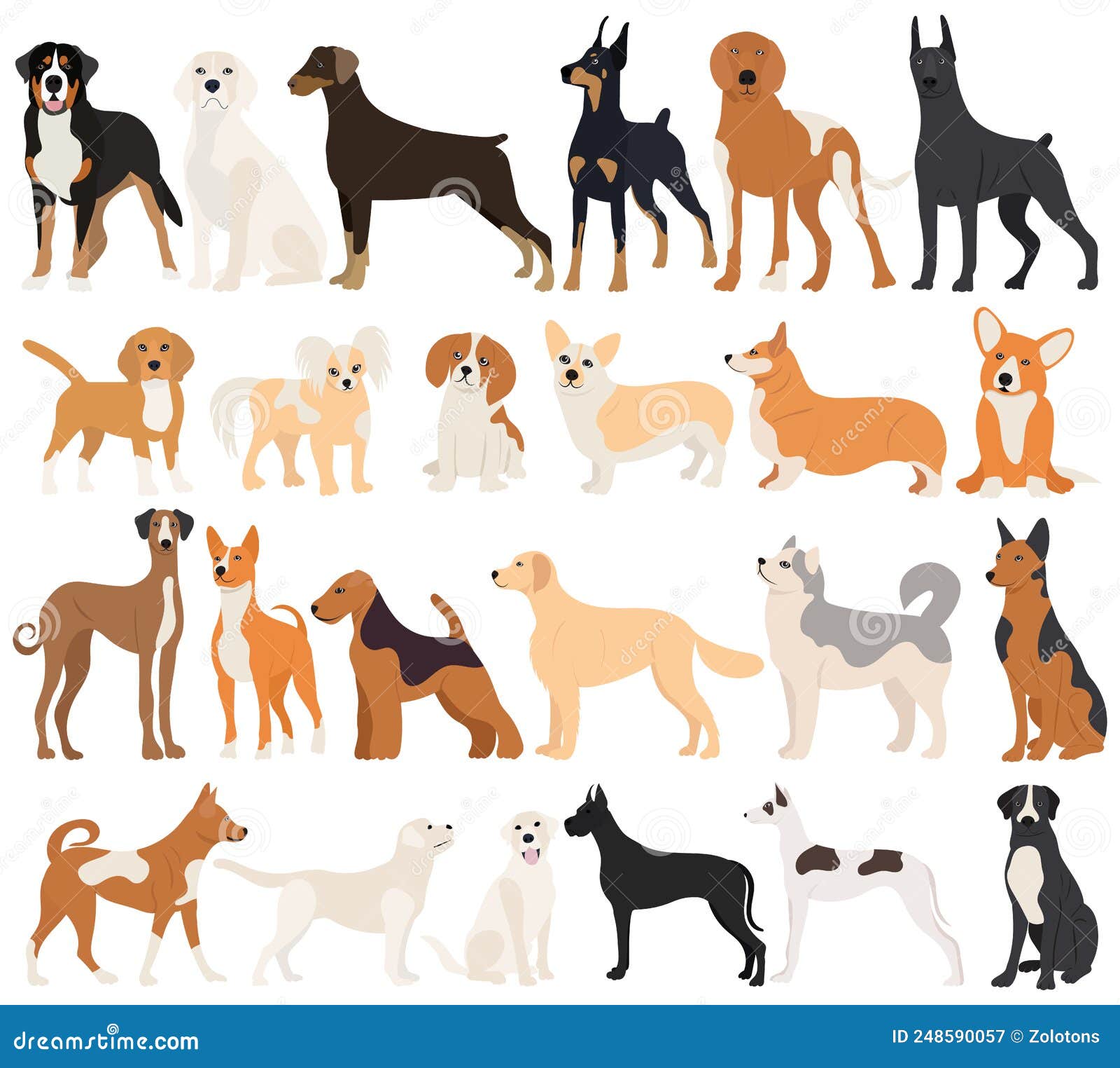 Dogs of Different Breeds Set, Collection in Flat Design Stock Vector ...