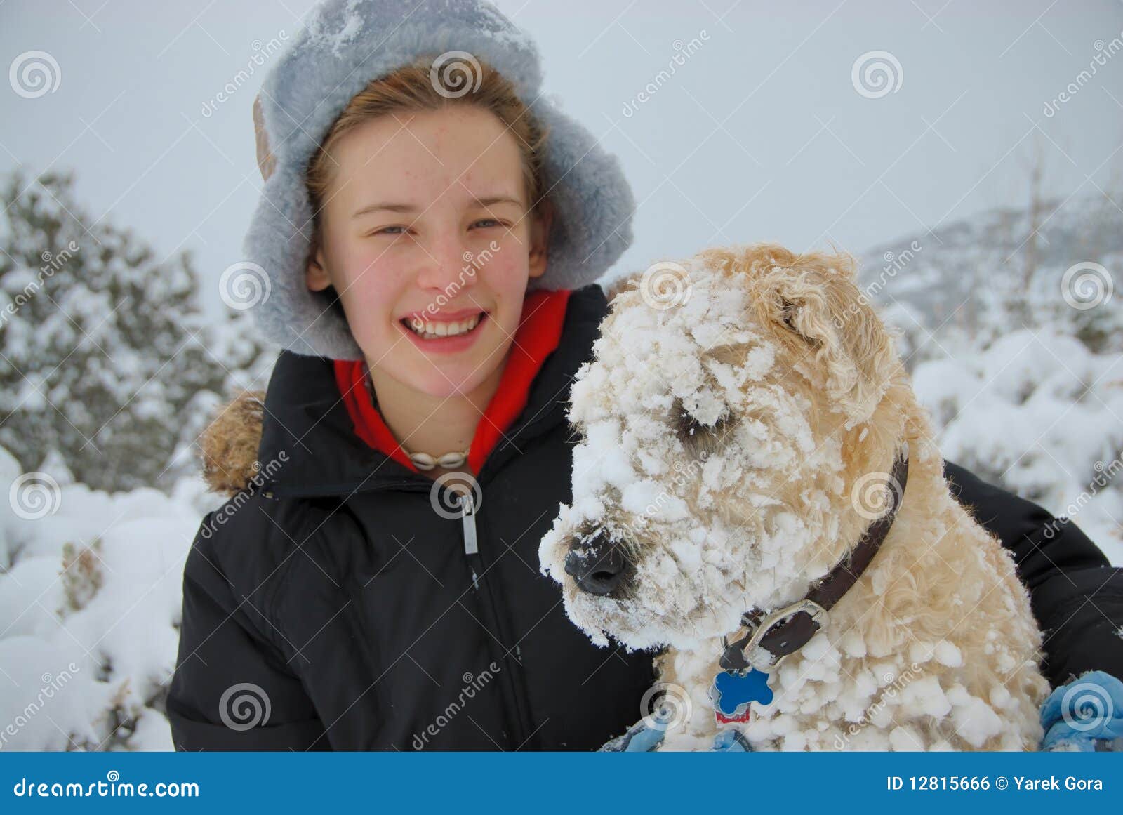 Dogs first snow stock photo. Image of smart, mountain - 12815666