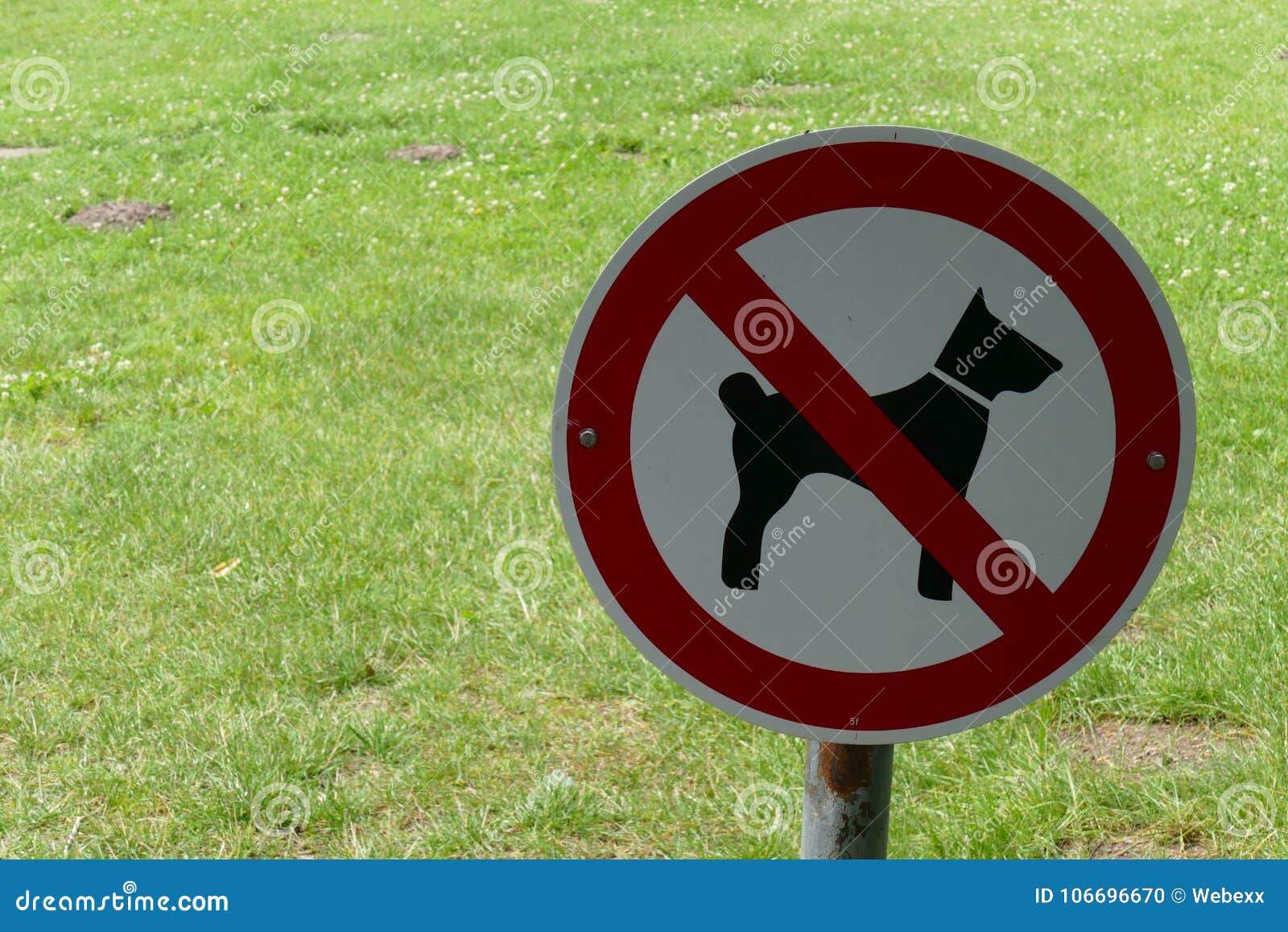 Dogs forbidden stock photo. Image of note, grass, beach - 106696670