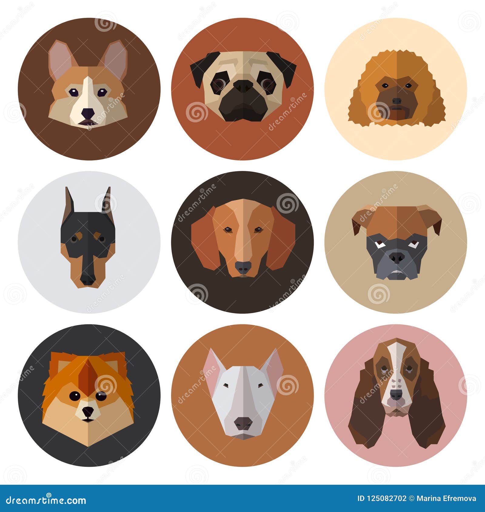 Dog breed head shapes - fbfery