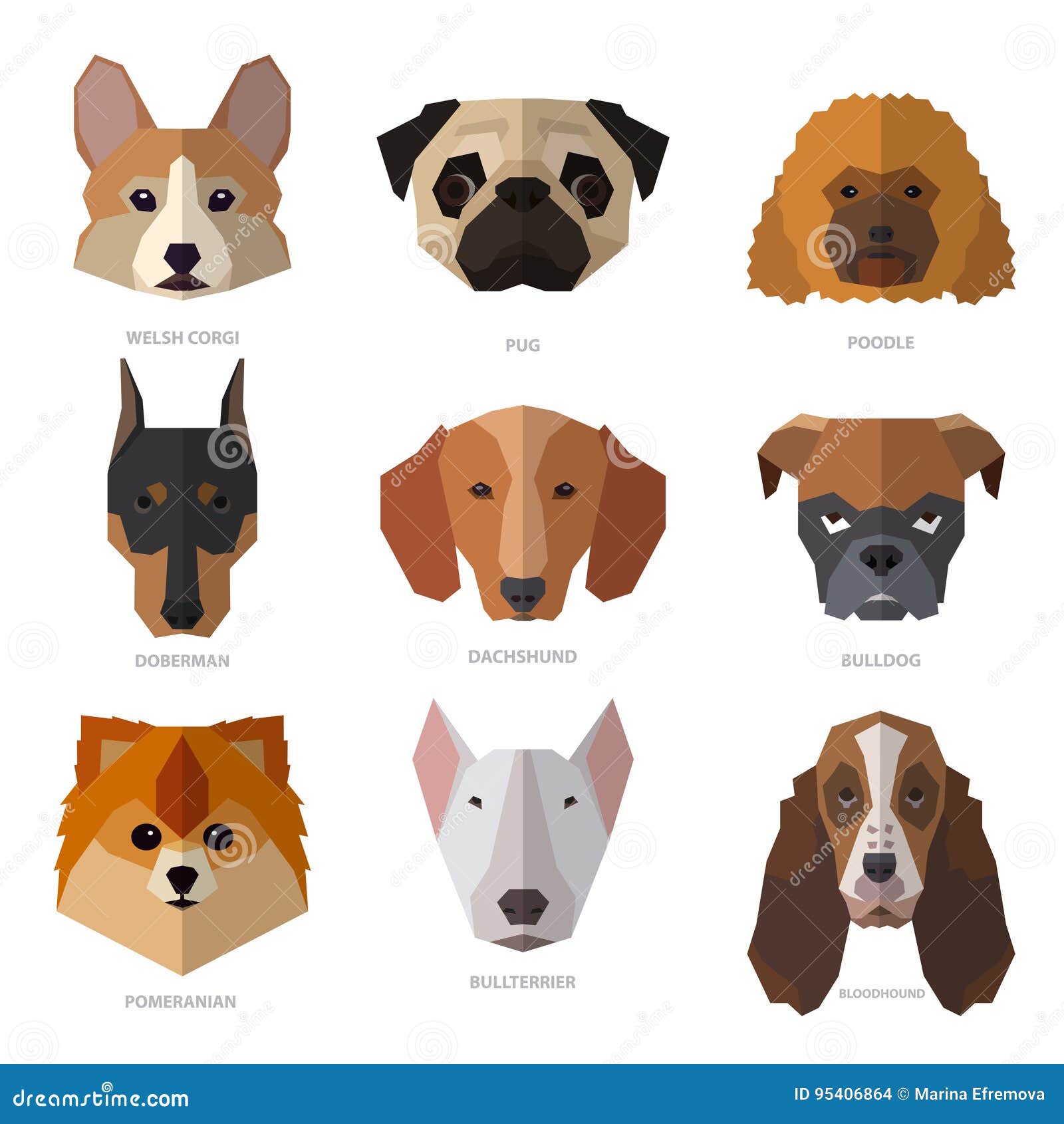 Dogs Heads of Different Breeds. Stock Vector - Illustration of domestic ...