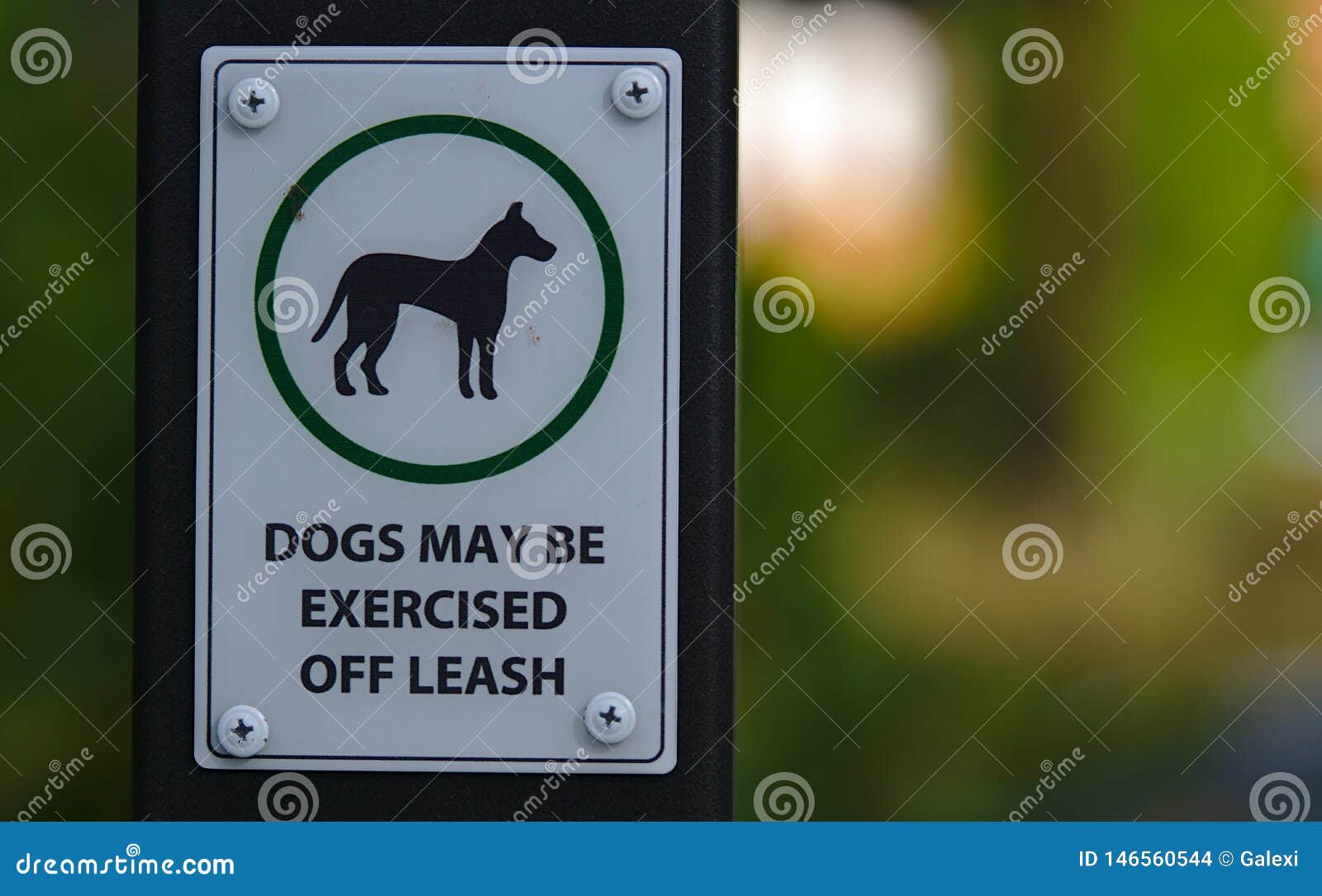 433 Off Leash Dog Park Photos - Free & Royalty-Free Stock Photos from ...