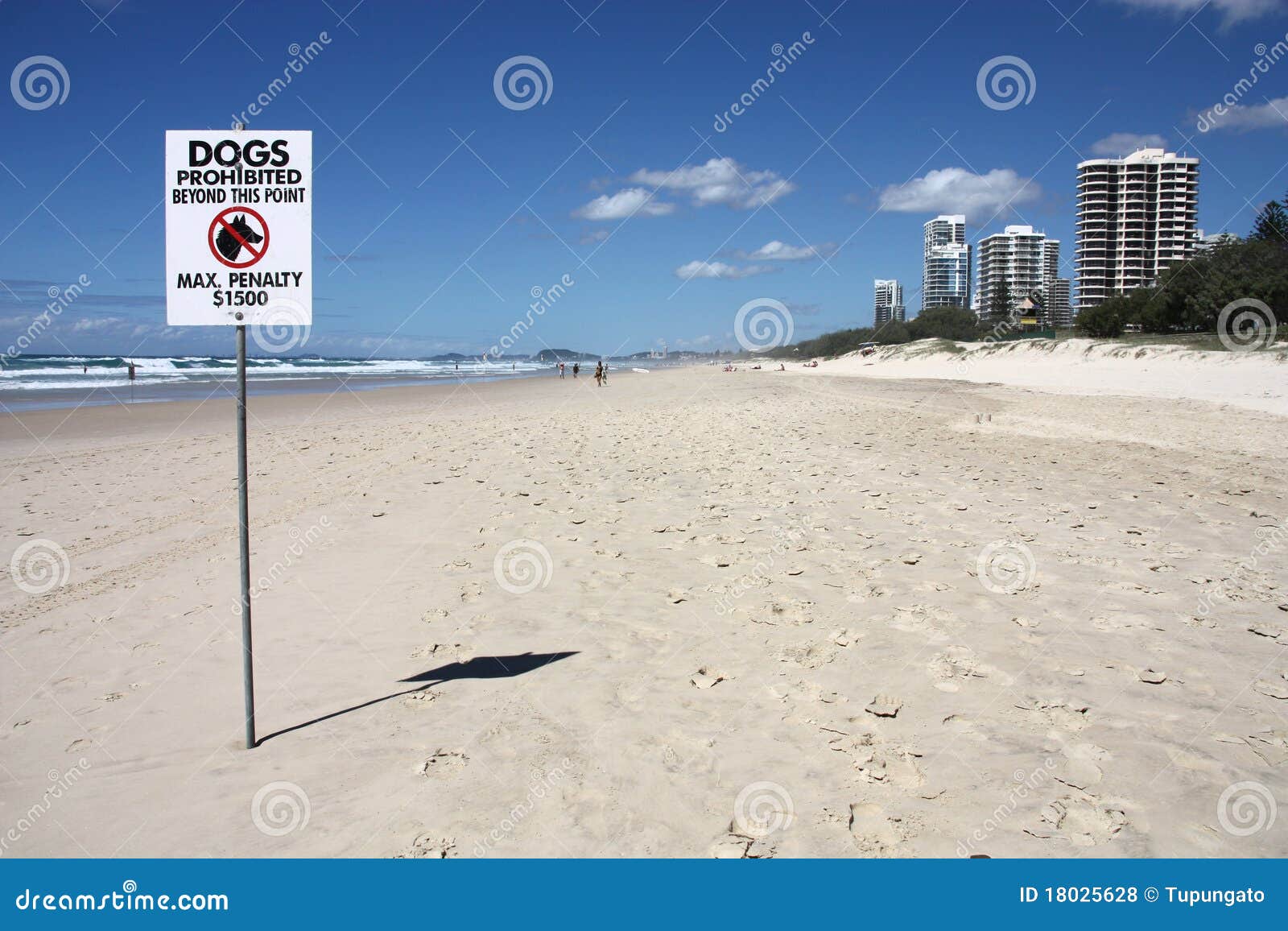 Dogs Prohibited Sign, Round Metal Board With A Red Border With A ...
