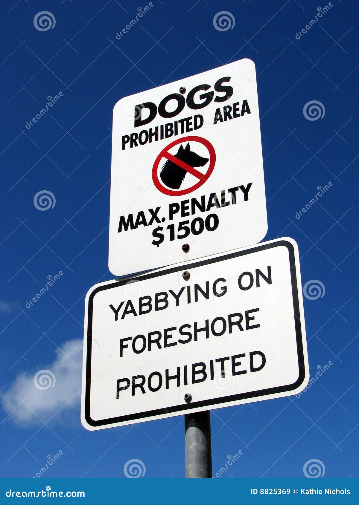 Dogs Prohibited Sign stock image. Image of destination - 8825369