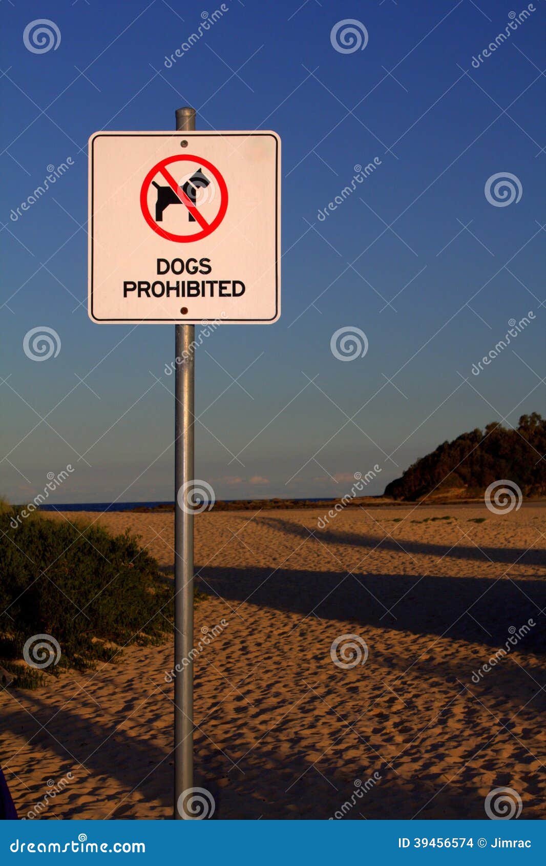 Dogs Prohibited Sign, Round Metal Board With A Red Border With A ...