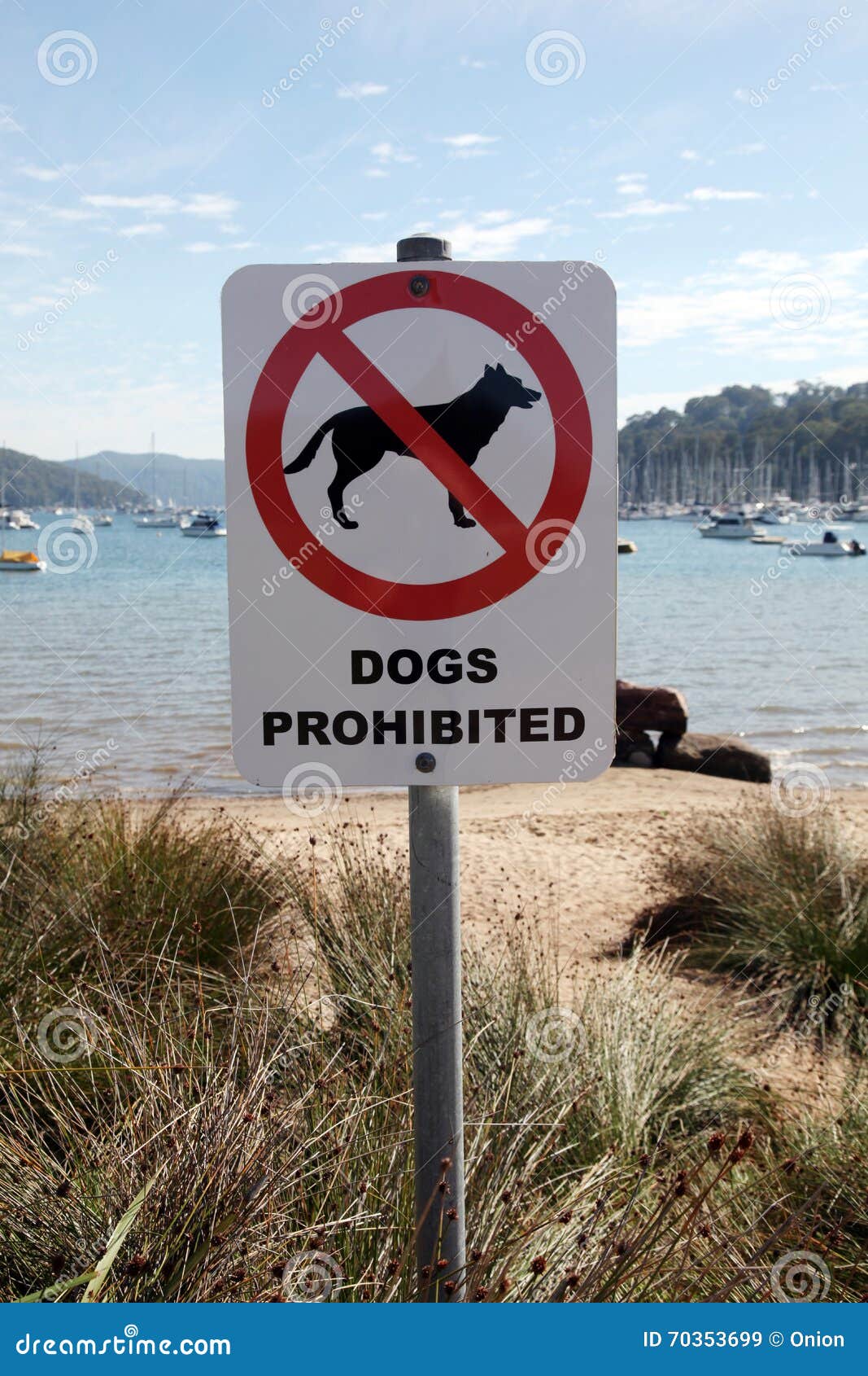 Dogs Prohibited Sign, Round Metal Board With A Red Border With A ...