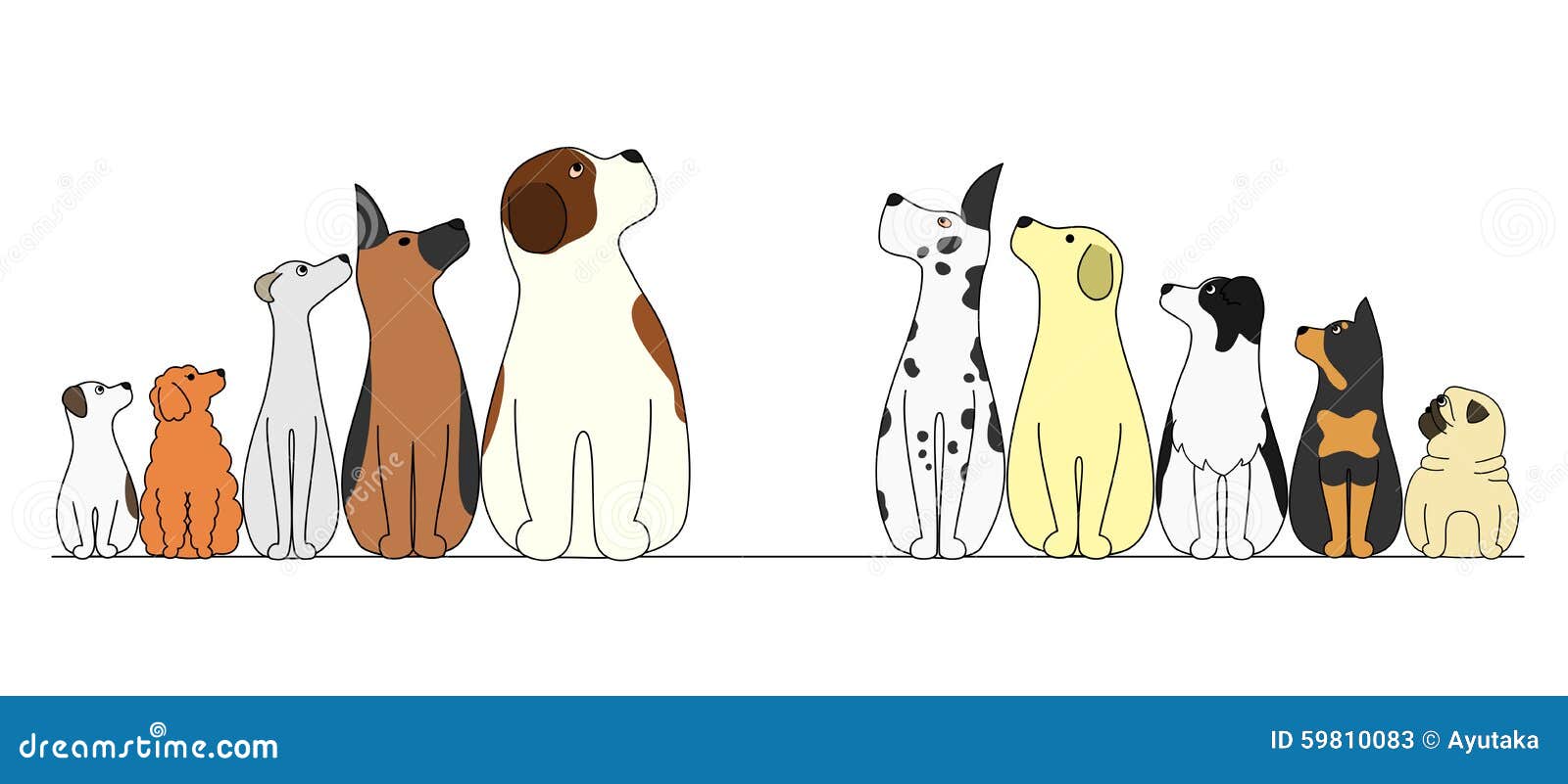 Dogs in a Row, Looking Center Stock Vector - Illustration of bernard ...