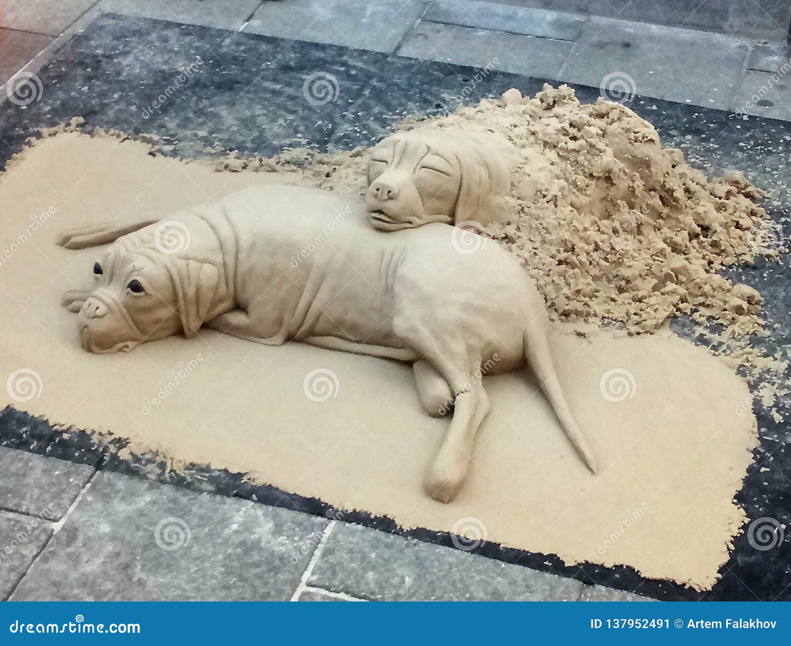 Dogs from sand editorial photo. Image of pets, sand - 137952491