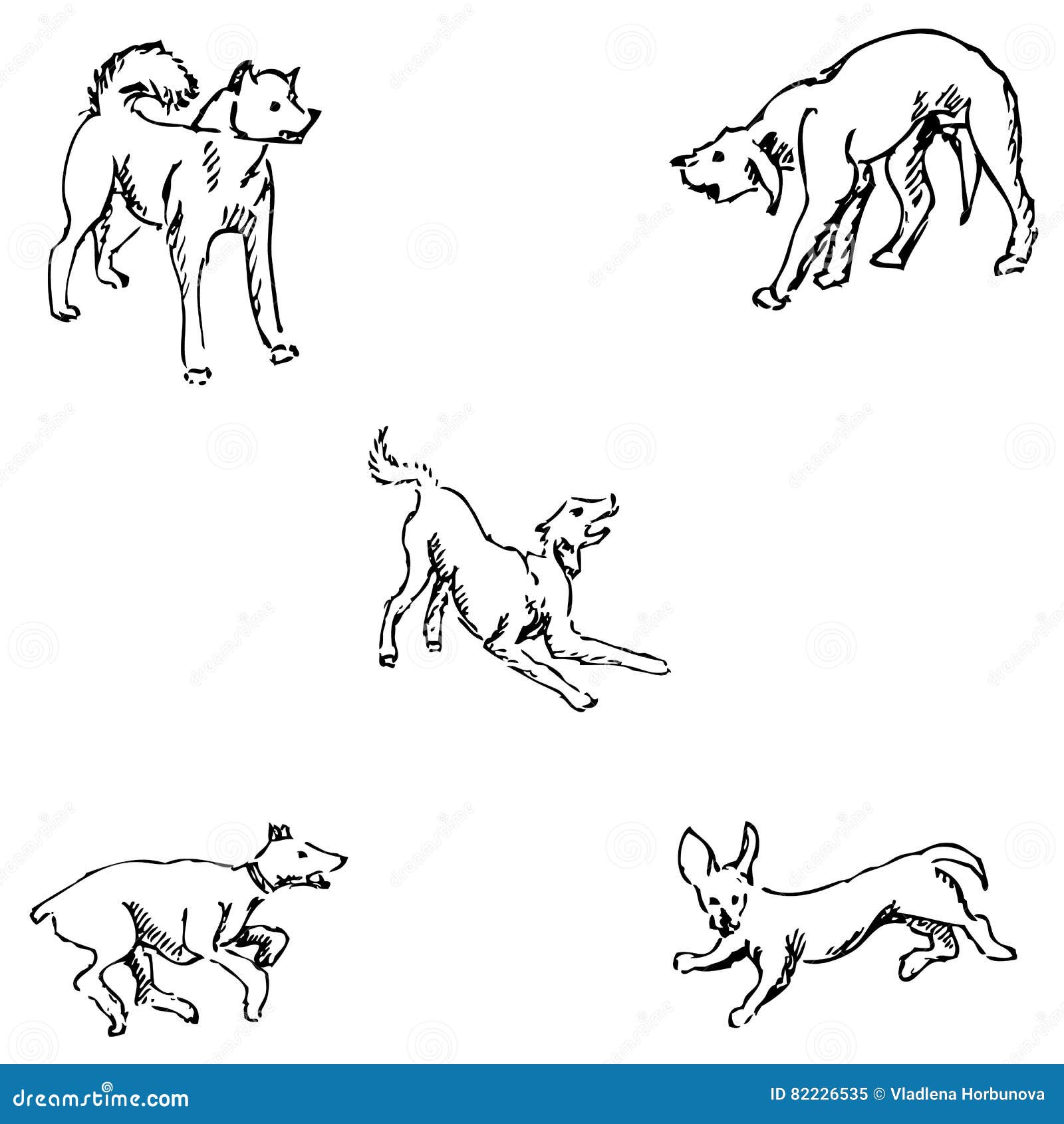 Dogs. Sketch Pencil. Drawing By Hand. Vector | CartoonDealer.com #82228966