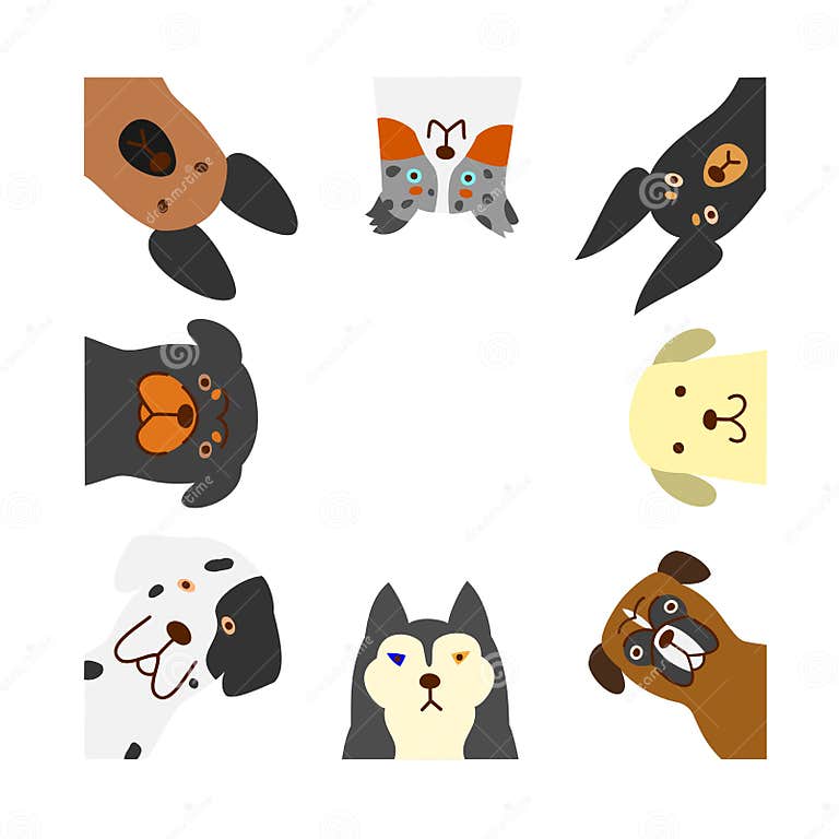 Dogs square frame stock vector. Illustration of boxer - 77169227