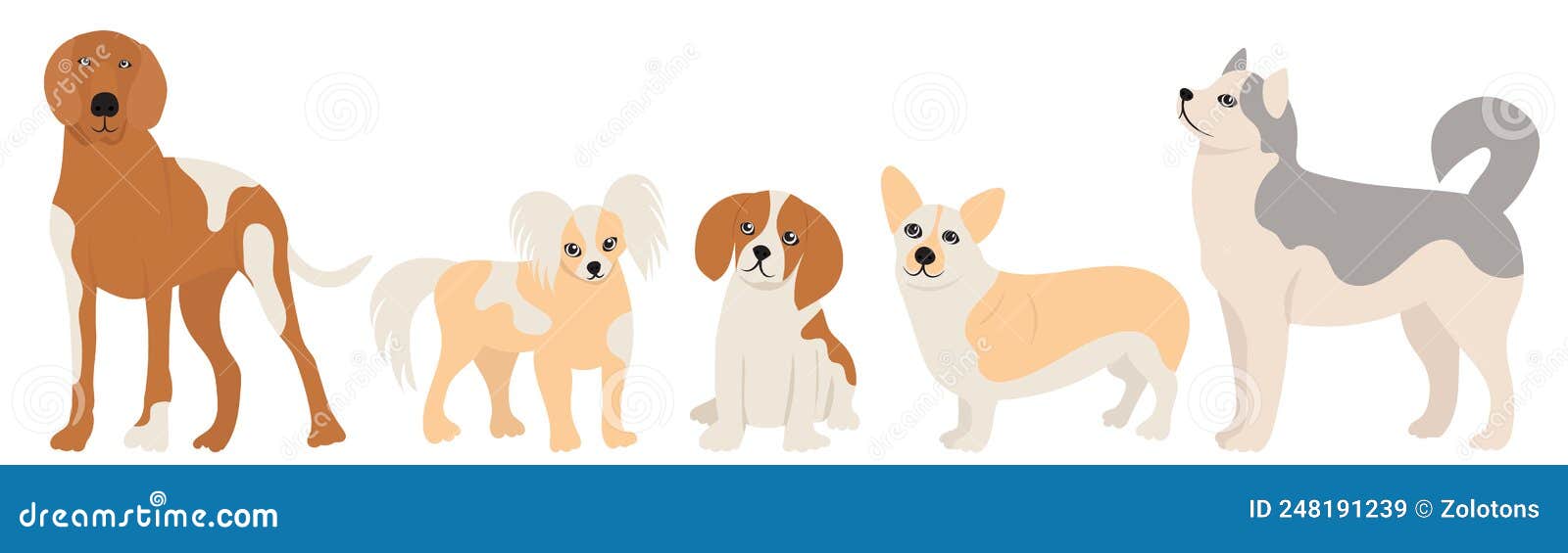Dogs Stand in Flat Design Isolated Stock Vector - Illustration of comic ...