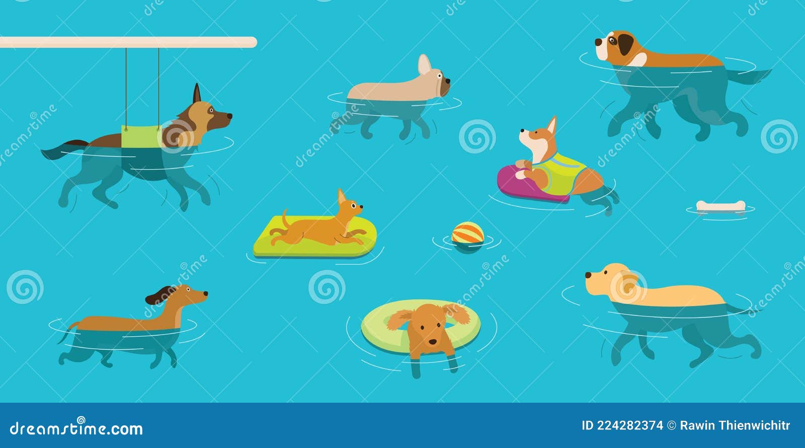 Dogs Swimming in Water or Pool Stock Vector - Illustration of water ...
