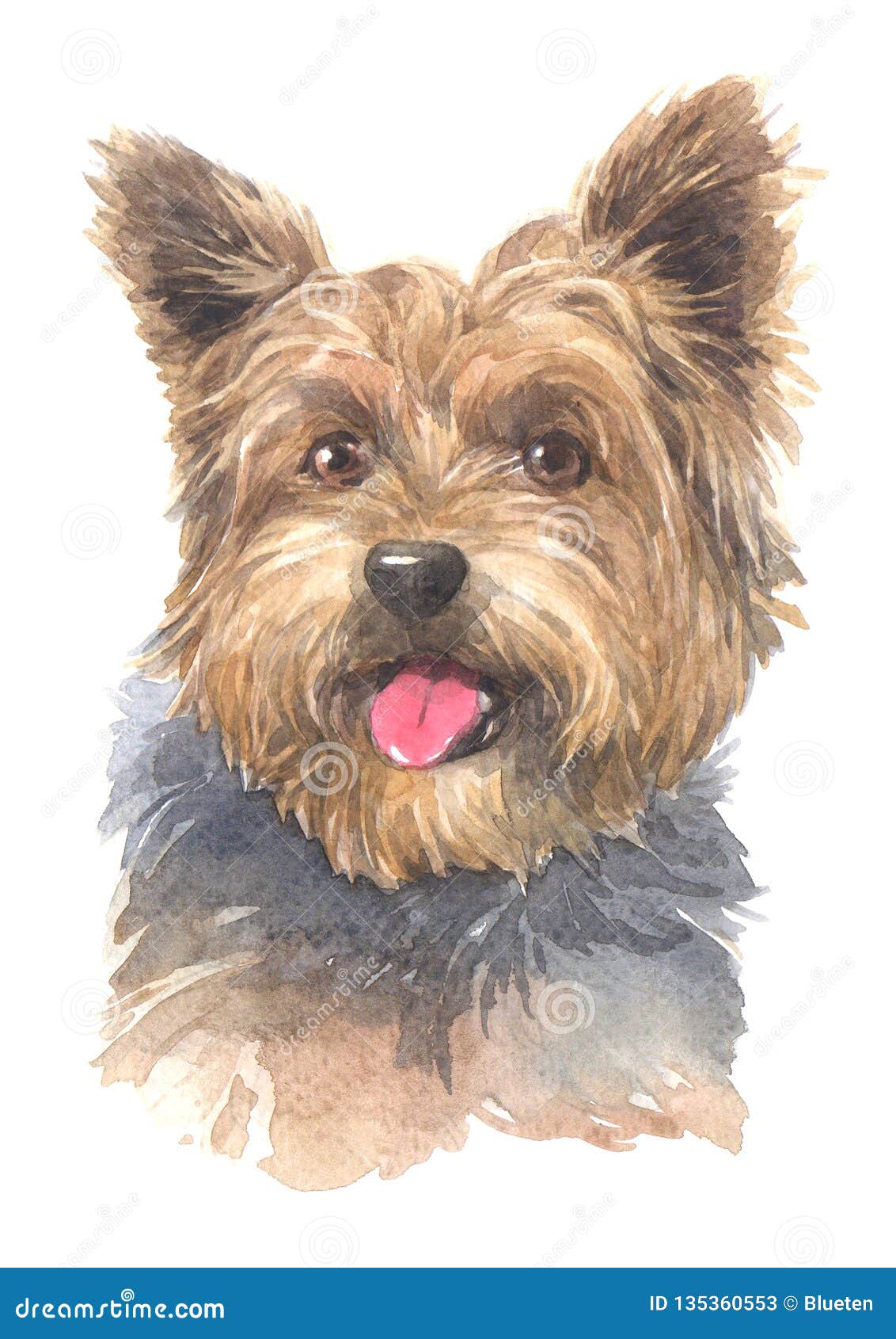 Dogs water colour 008 stock illustration. Illustration of bulldog ...