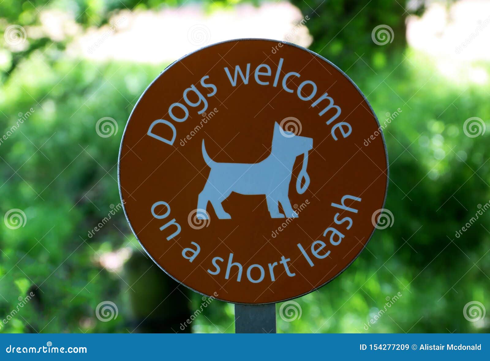 Dogs Welcome Sign in an Urban Park Stock Image - Image of white, sign ...