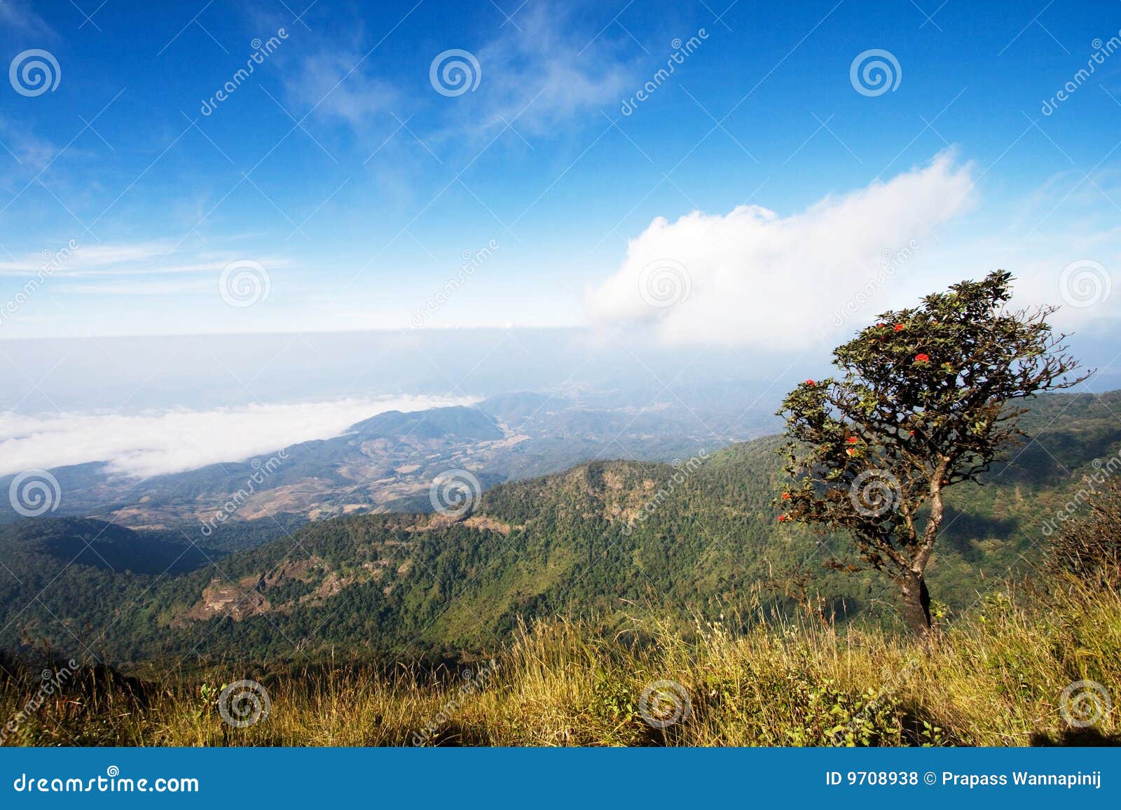 Doi Intanon Mountain in a Foggy Morning Stock Photo - Image of cloud ...