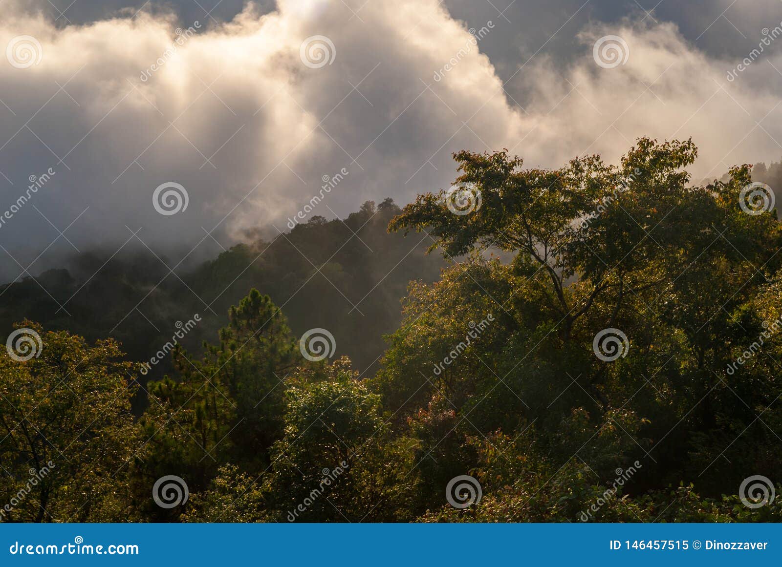 Doi Inthanon Mountains, Thailand Stock Image - Image of green, national ...