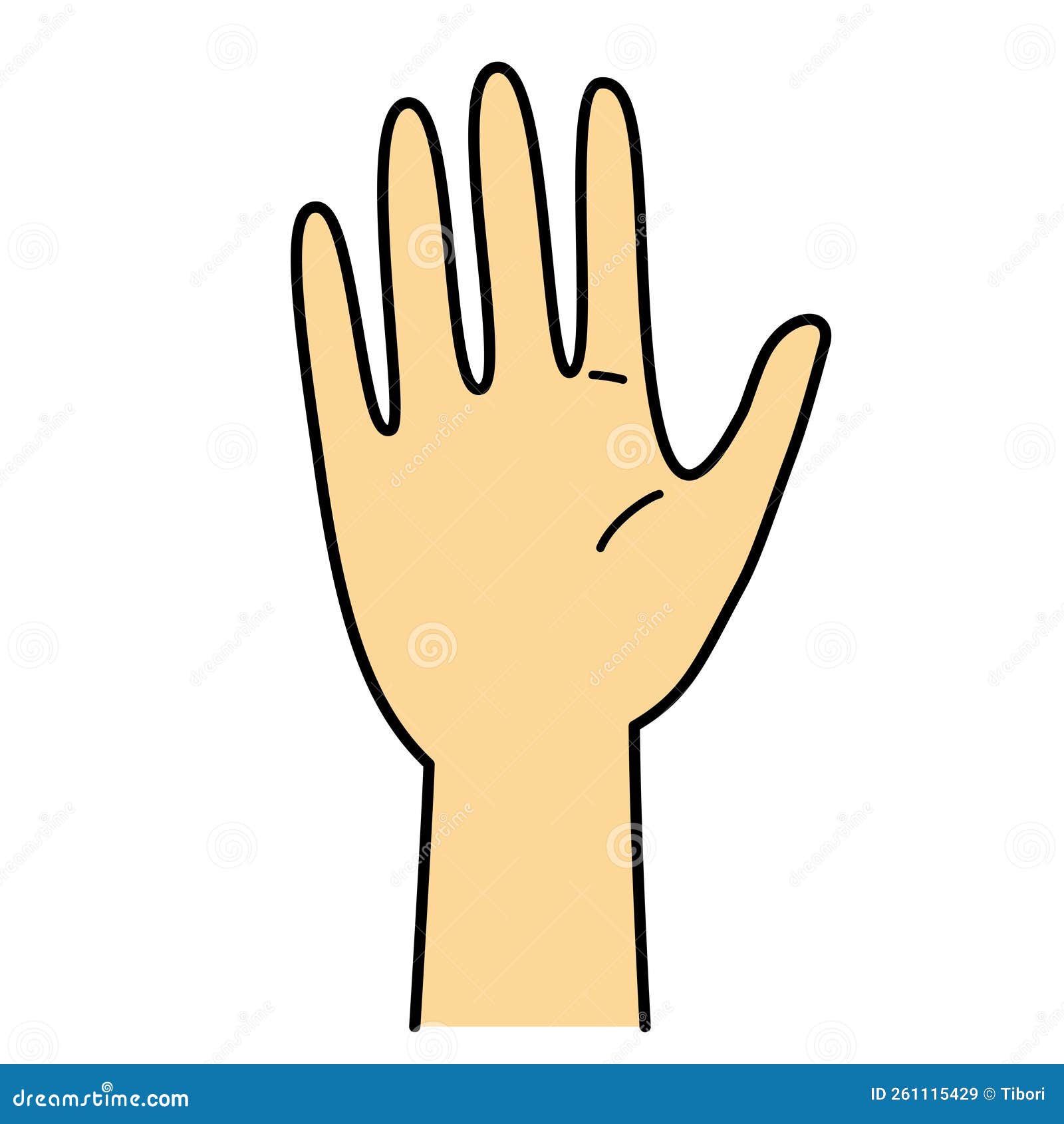 Doigts de palme image stock. Illustration du blanc, humain - 261115429