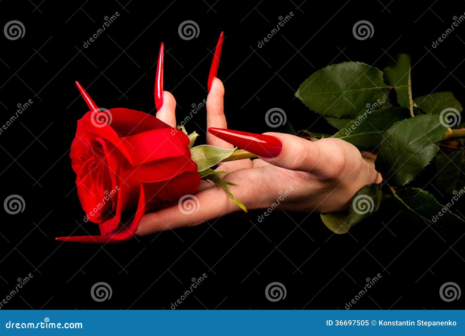 Doigts Humains D'isolement Sur Le Noir Image stock - Image du humain ...