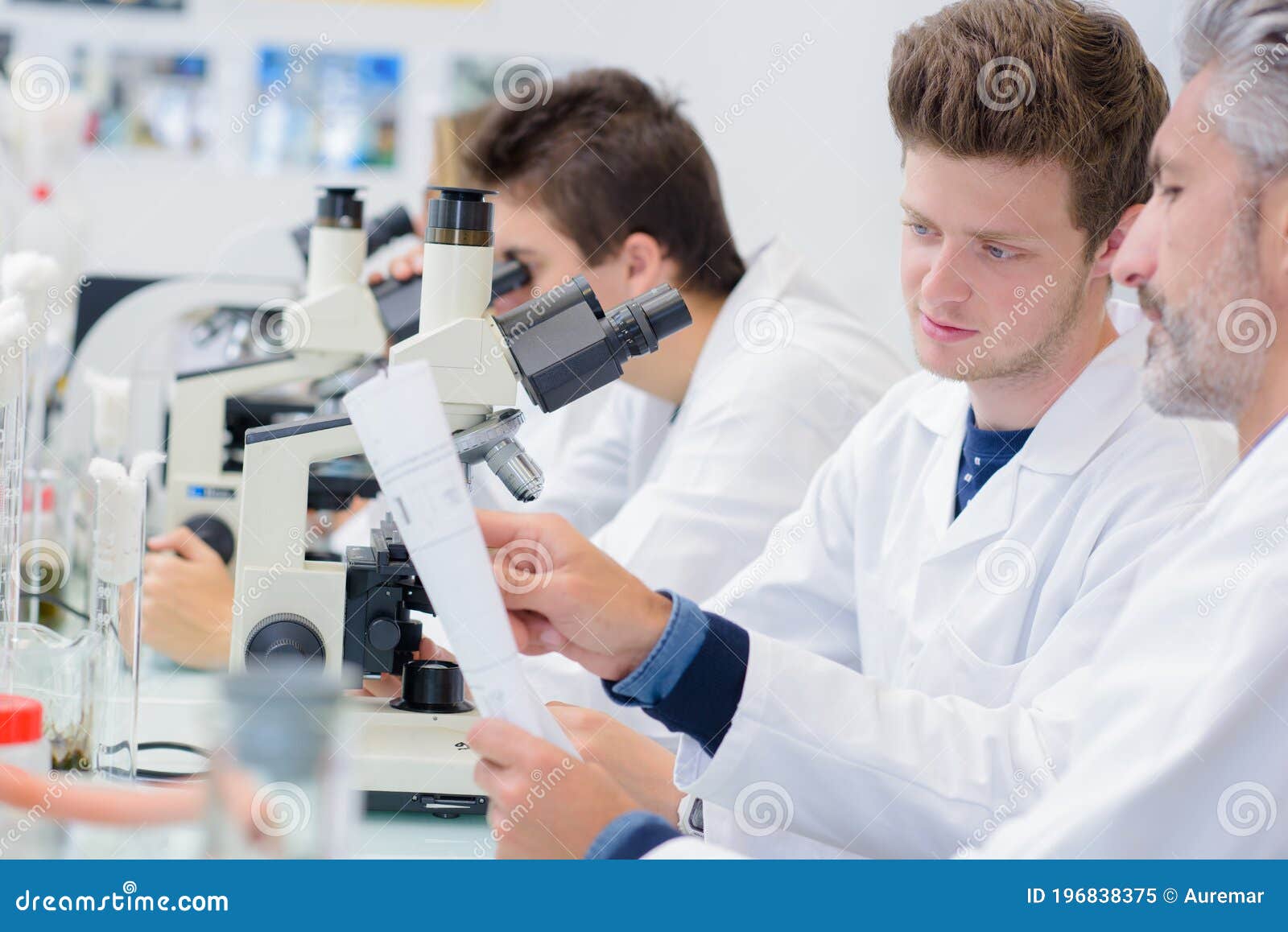They doing analysis report stock image. Image of middleaged - 196838375