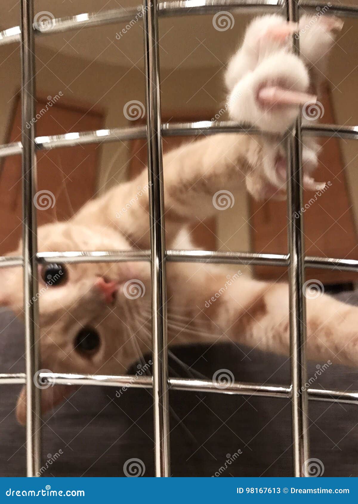 Doing hard time in Jail stock image. Image of hard, time - 98167613