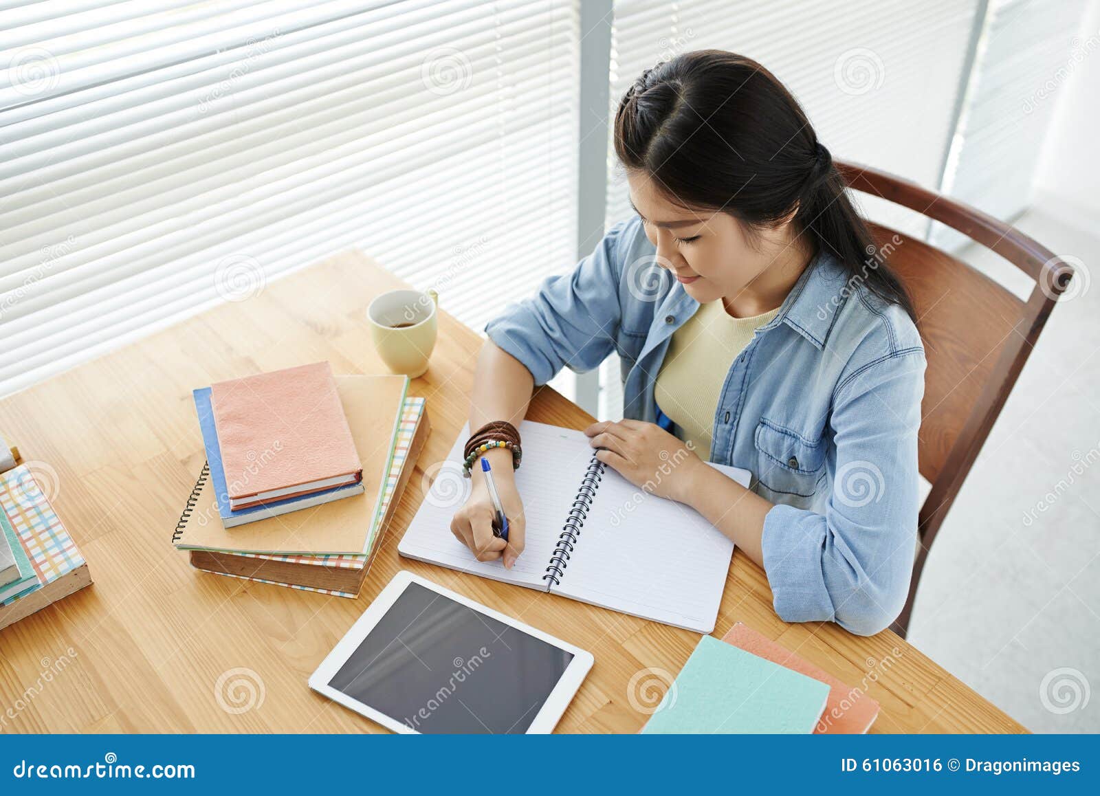Doing homework stock photo. Image of bookworm, desk, home - 61063016