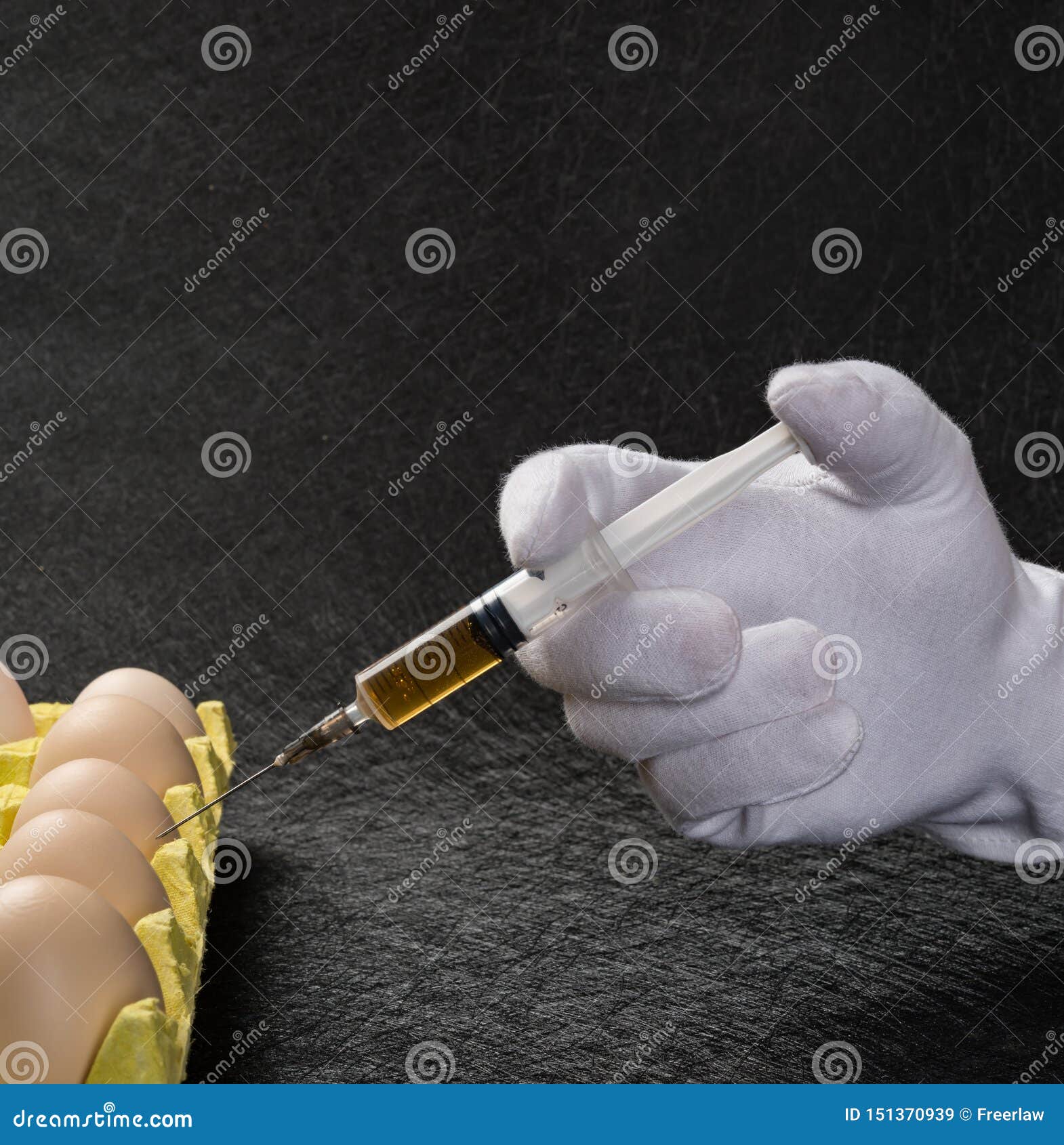 Doing Injection by Medical Syringe To Egg Stock Image - Image of ...