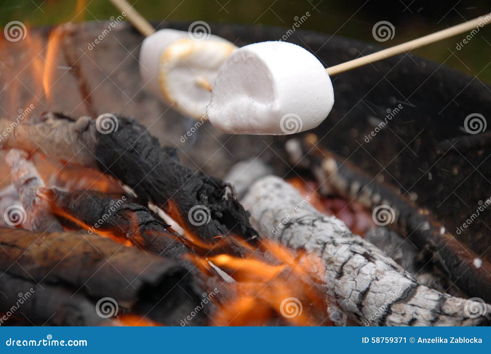 Doing Marshmallows in a Process of Burnings Stock Image - Image of ...