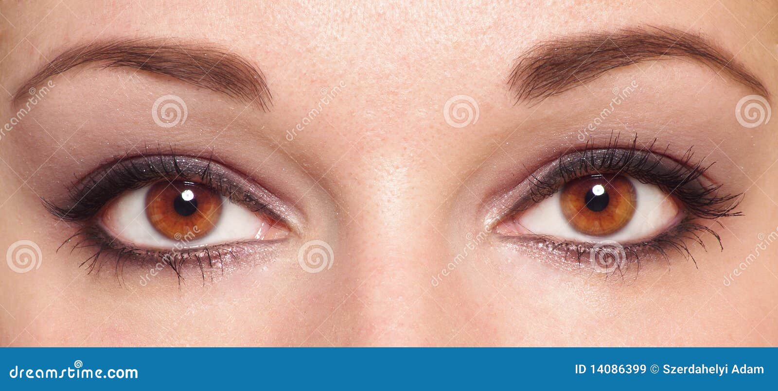 Dois Olhos Imagens de Stock Royalty Free - Imagem: 14086399