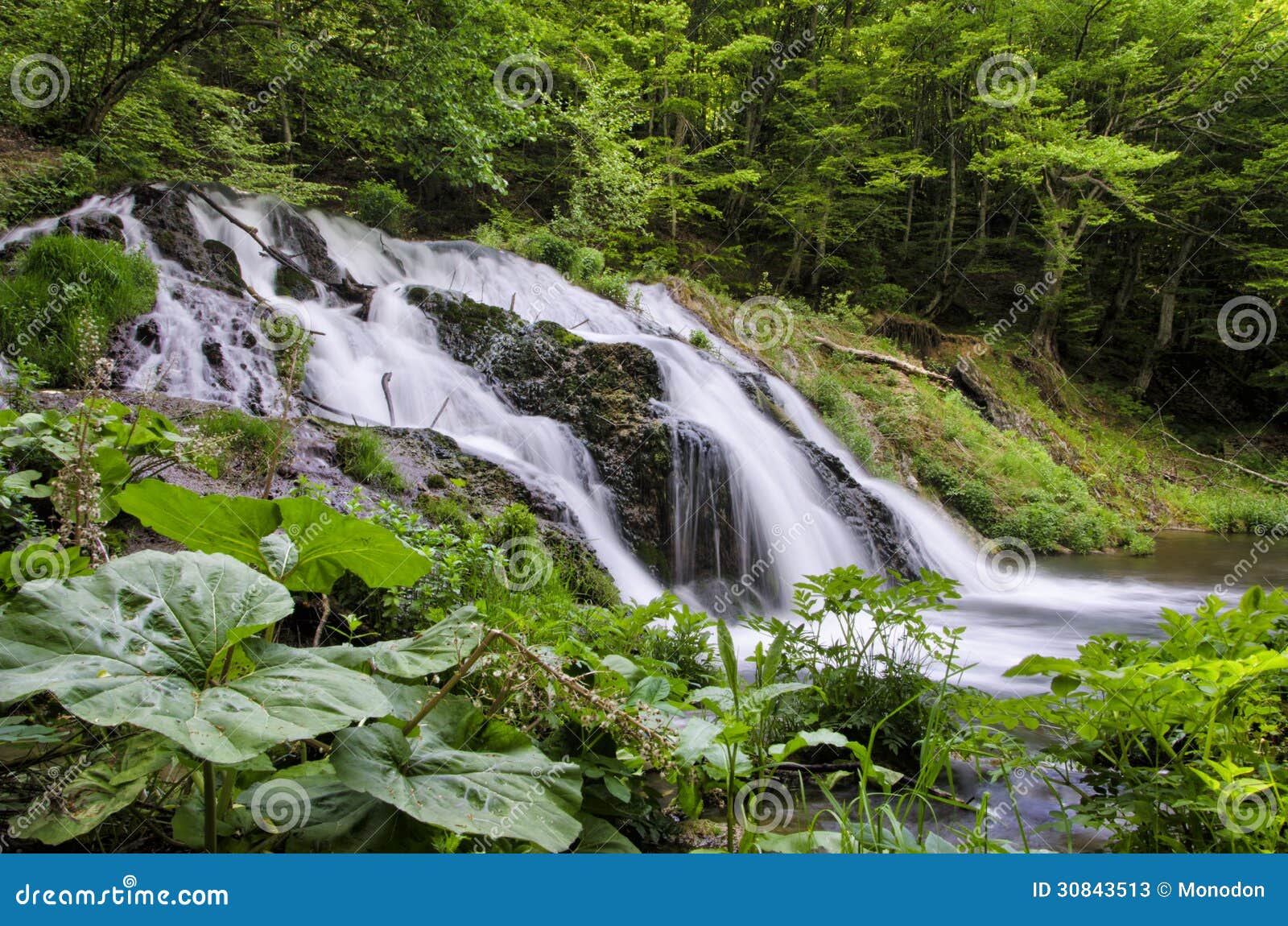 Dokuzak Waterfall stock image. Image of strandja, rock - 30843513