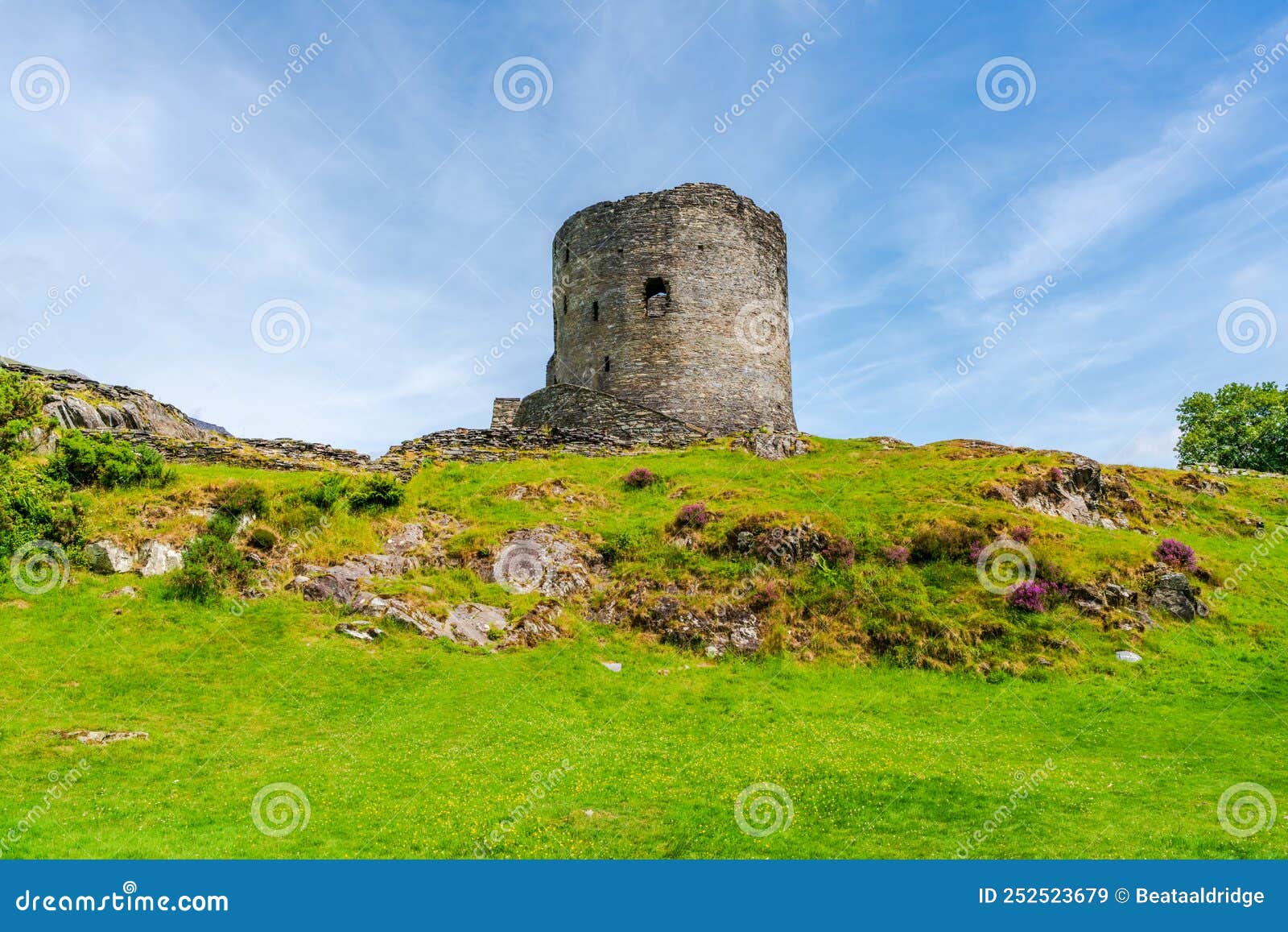 Dolbadarn Castle stock image. Image of scenic, historical - 252523679