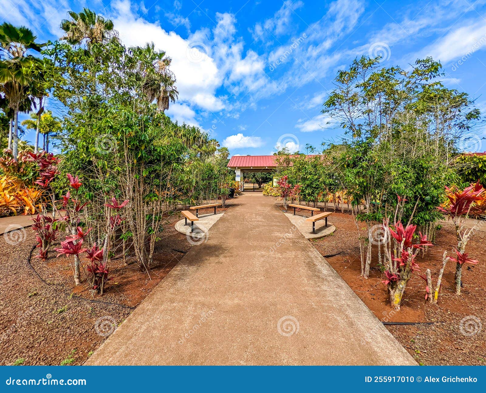Dole Pineapple Plantation in Wahiawa, Oahu, Hawaii, USA Editorial Image ... Dole Pineapple Plantation in Wahiawa, Oahu, Hawaii, USA Editorial Image ...