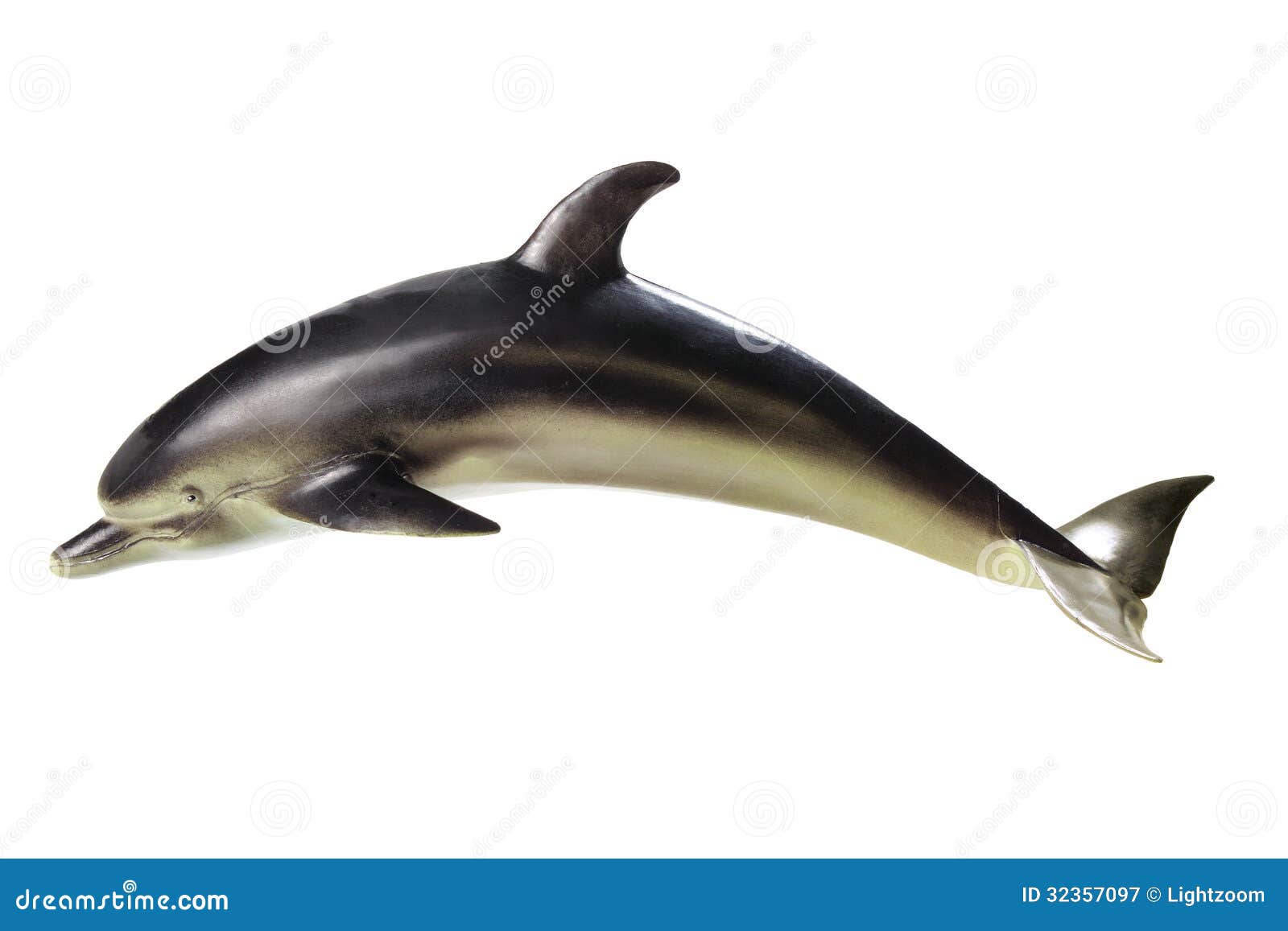 Dolfijn stock afbeelding. Image of intelligentie, dolfijn - 32357097